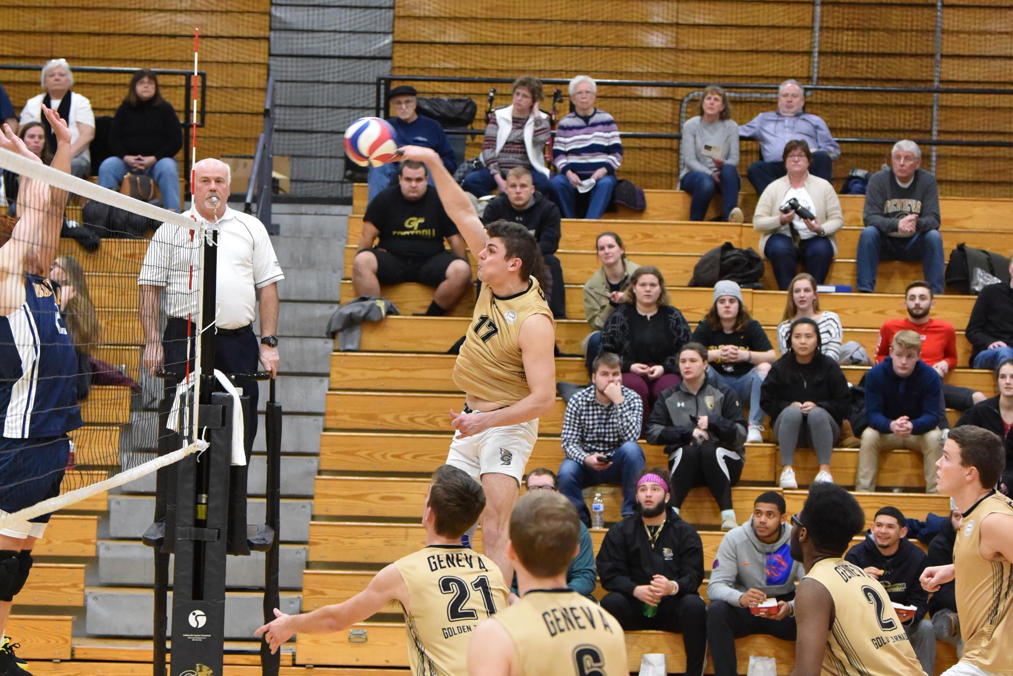 Peter Barbato - Men's Volleyball - Geneva College Athletics