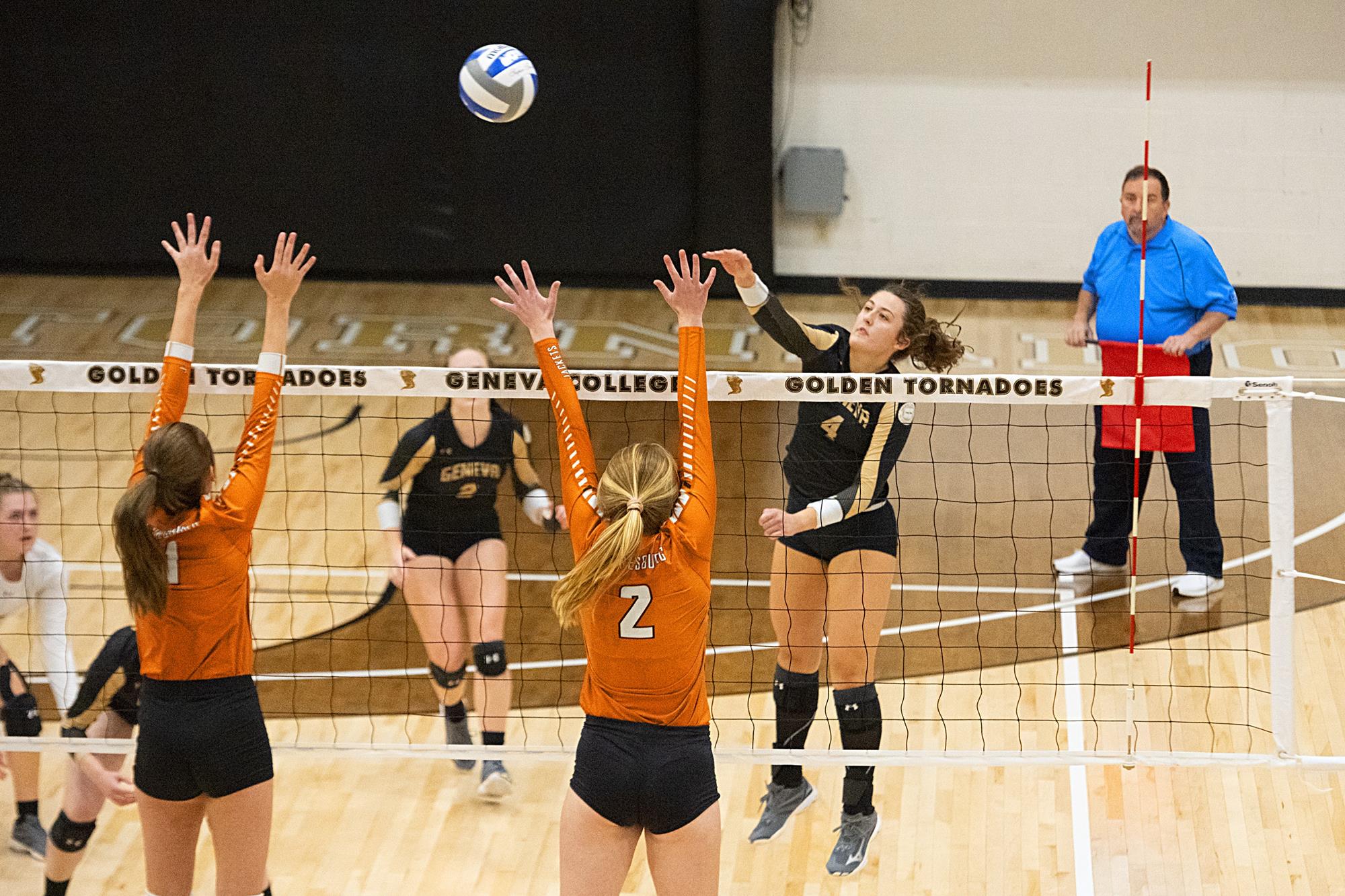 Tess Neville - Women's Volleyball - Geneva College Athletics