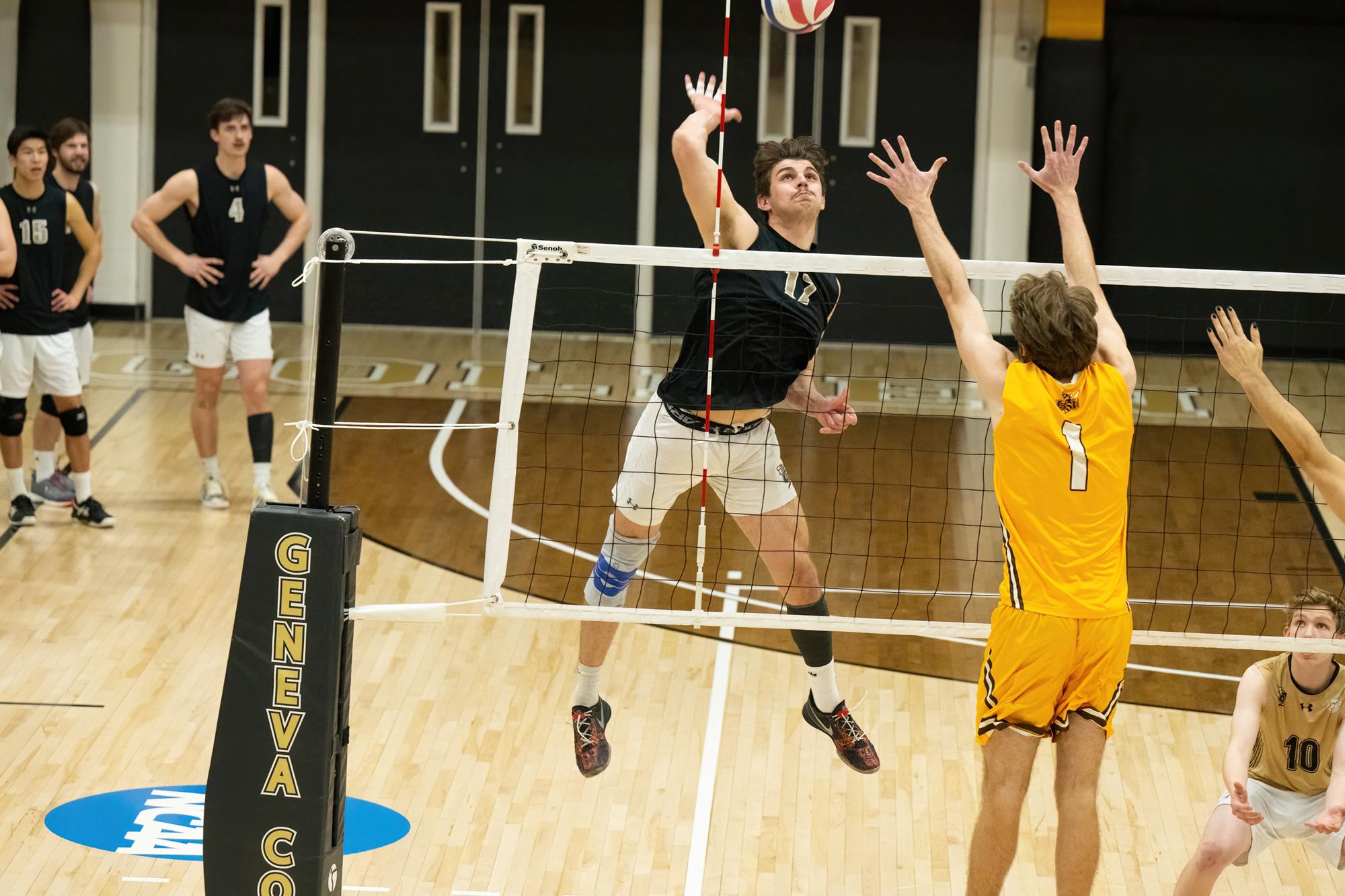 Peter Barbato - Men's Volleyball - Geneva College Athletics