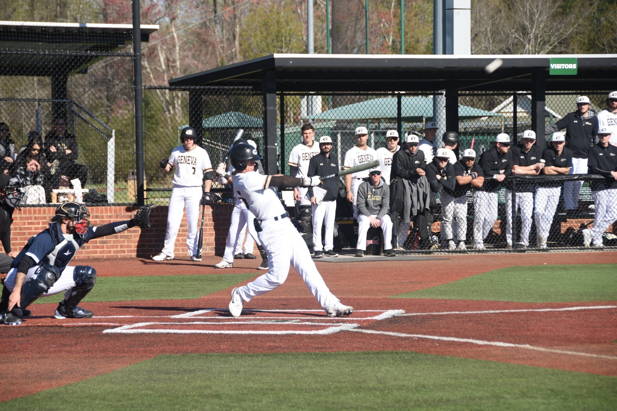 Baseball Wraps up Spring Break with Split with Wells - Geneva College ...