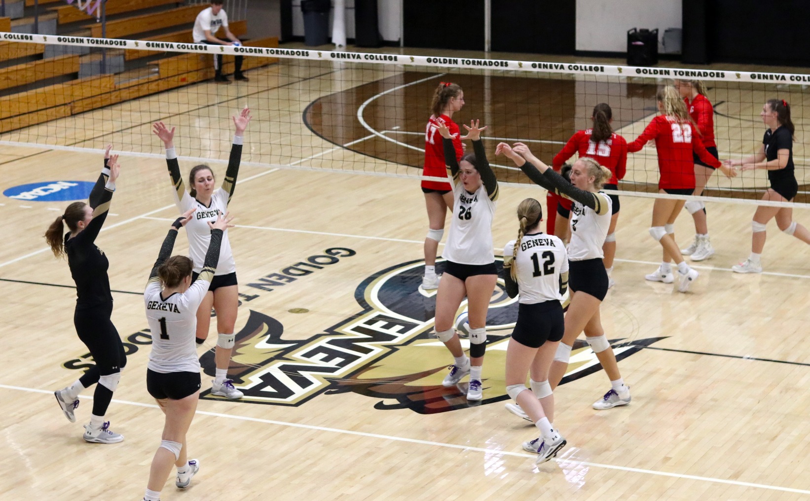 Volleyball Sweeps Grove City Heading into PAC Play - Geneva College ...
