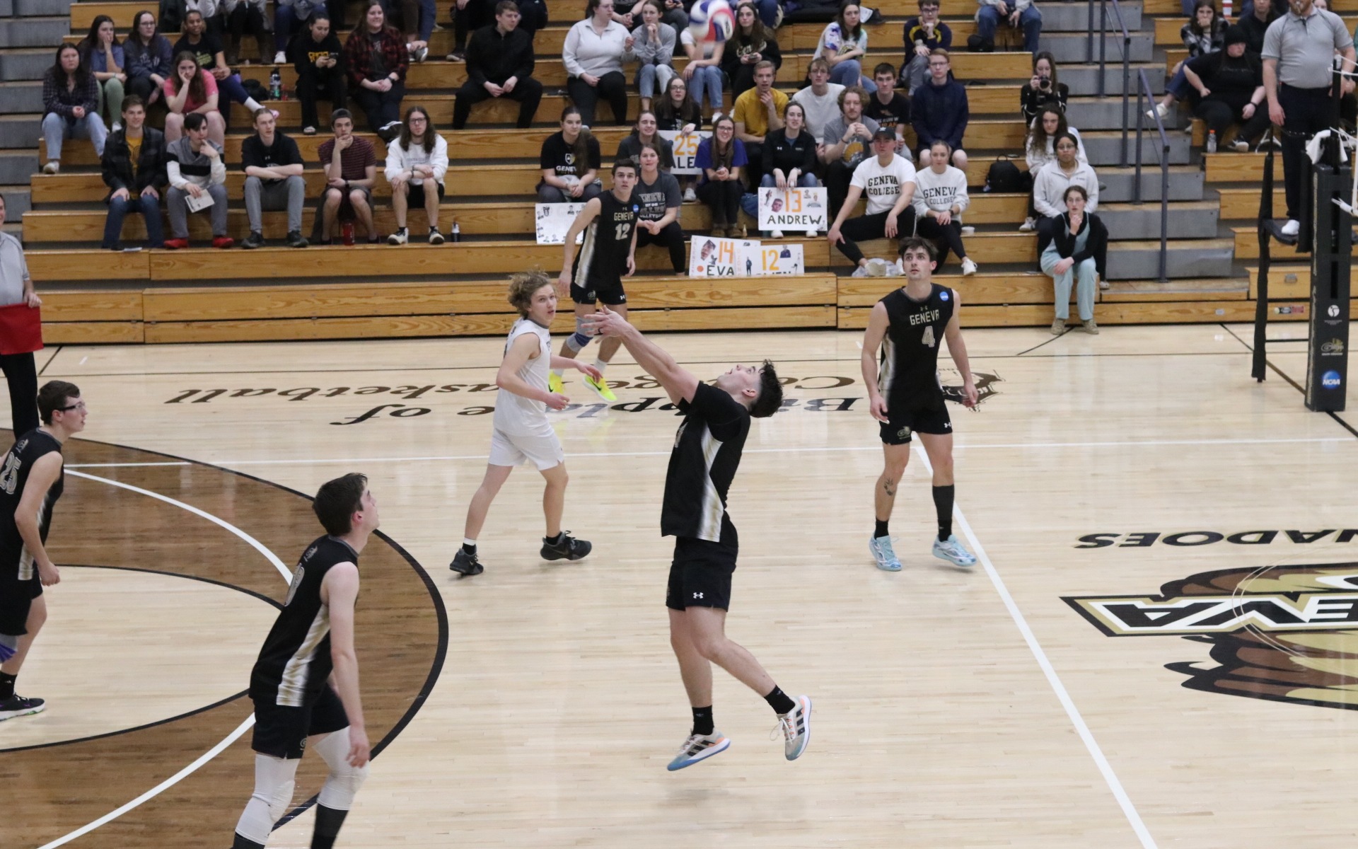 Penn State Behrend Beats Men in Four Sets - Geneva College Athletics