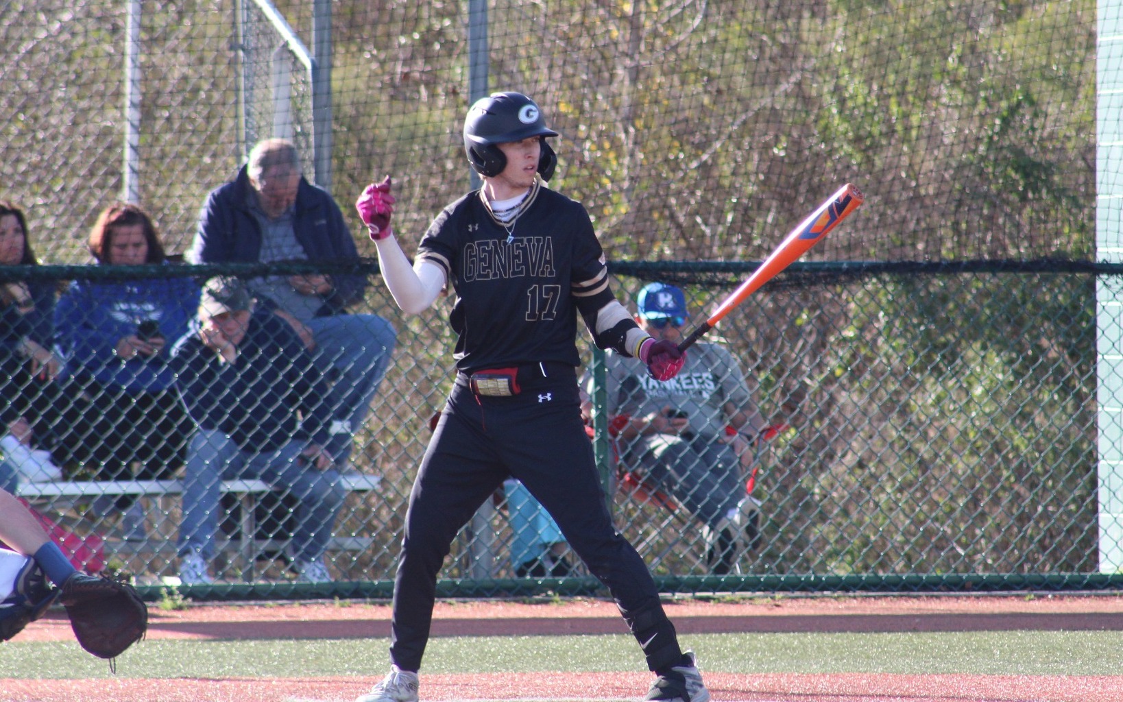 Baseball Returns Home with Doubleheader Sweep of Wells - Geneva College ...