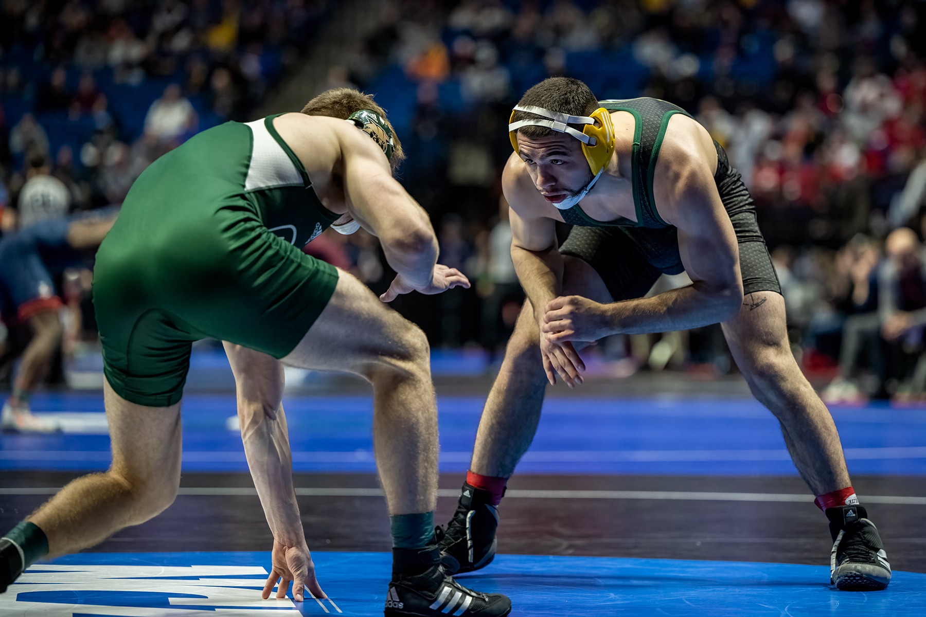 Journey at NCAA Championships Ends for Peter Pappas - George Mason ...