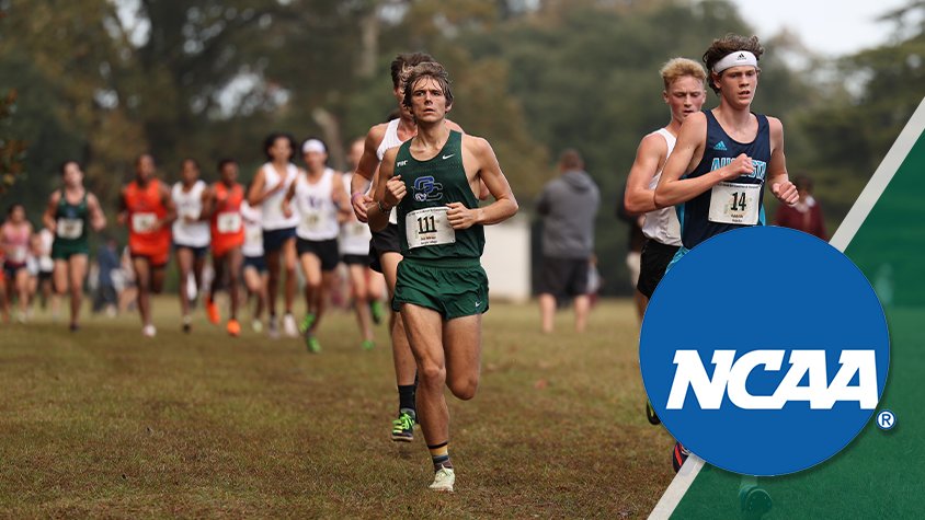 GCSU Men's Cross Country Takes on Field at NCAA Regional Saturday ...