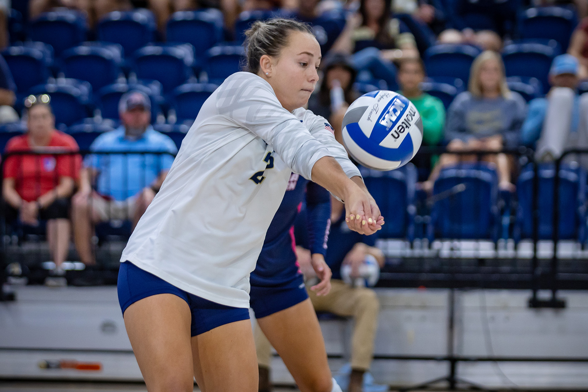 Meredith Eckard - Volleyball - Georgia Southern University Athletics