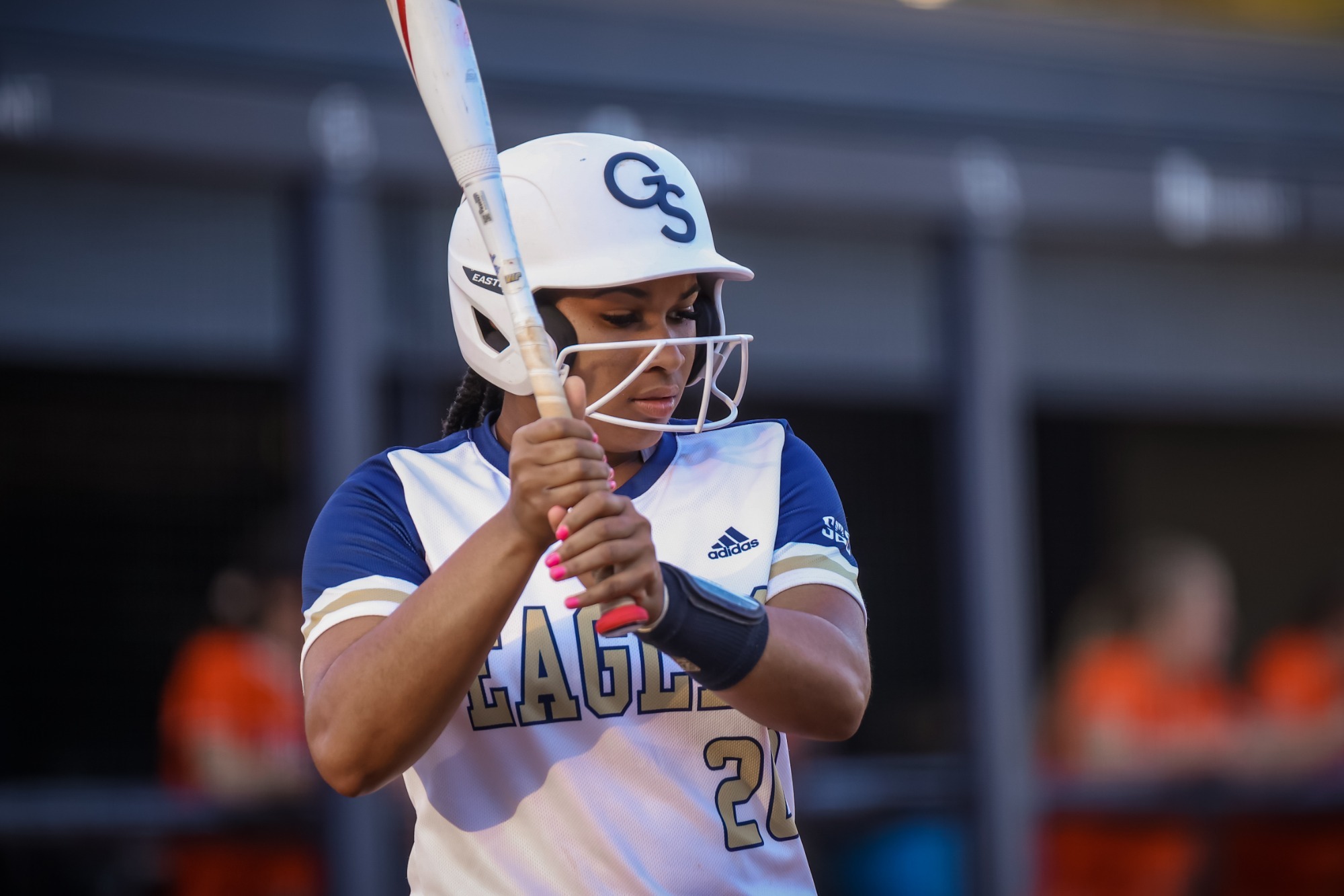 Eagles Split Pair of Games With Mercer - Georgia Southern University ...