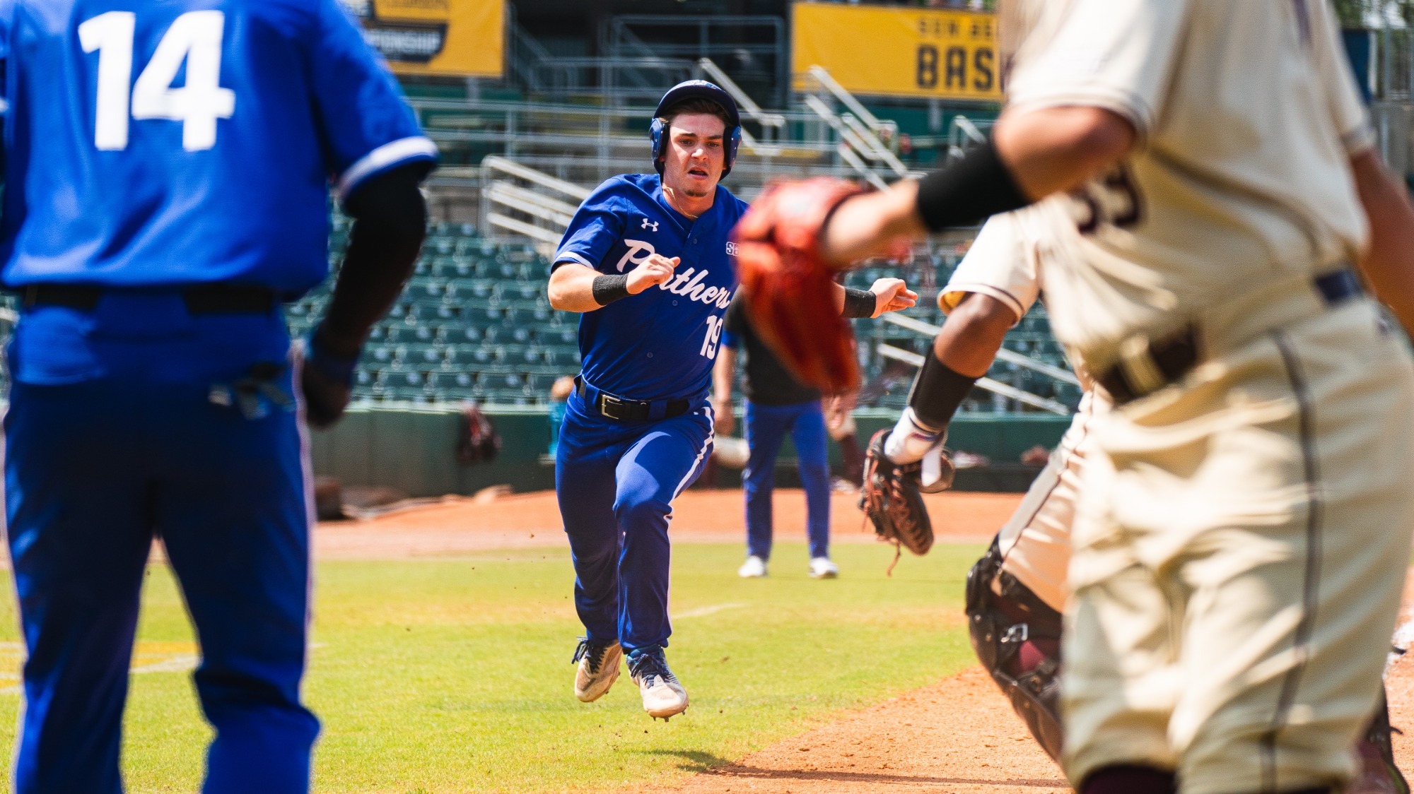 Taylor Shultz - 2024 - Baseball - Georgia State University