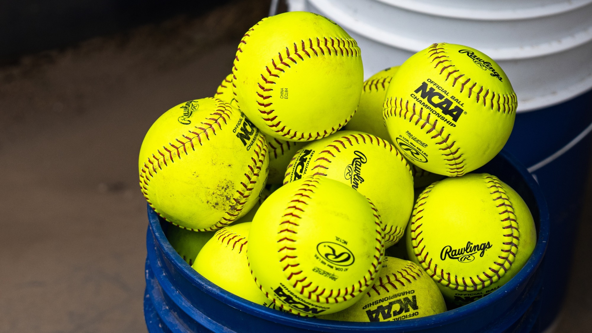 Kuma Named as Assistant Softball Coach - Georgia State University