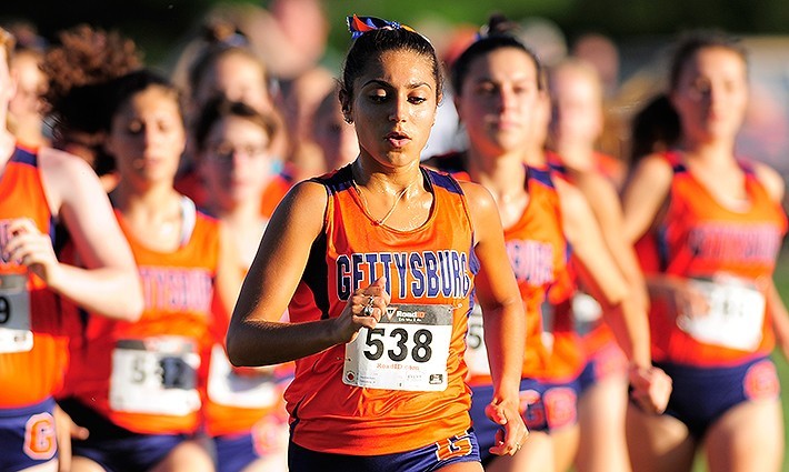 Amanda Asaro - Women's Cross Country - Gettysburg College Athletics