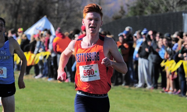 Ben Taber - Men's Cross Country - Gettysburg College Athletics