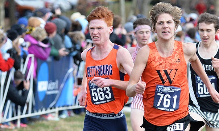 Ben Taber - Men's Cross Country - Gettysburg College Athletics