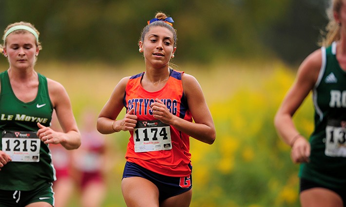 Amanda Asaro - Women's Cross Country - Gettysburg College Athletics