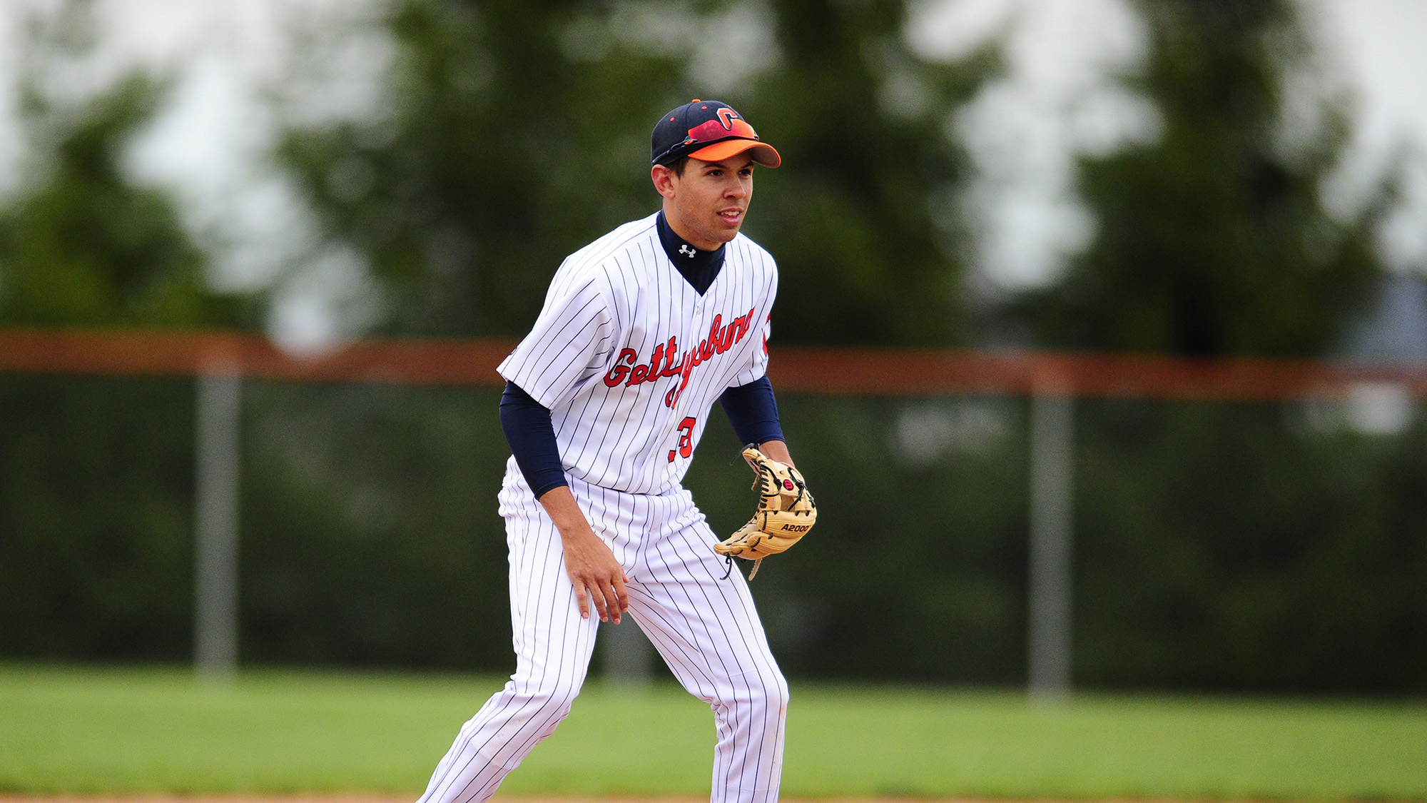 Logan Sneed - Baseball - Gettysburg College Athletics