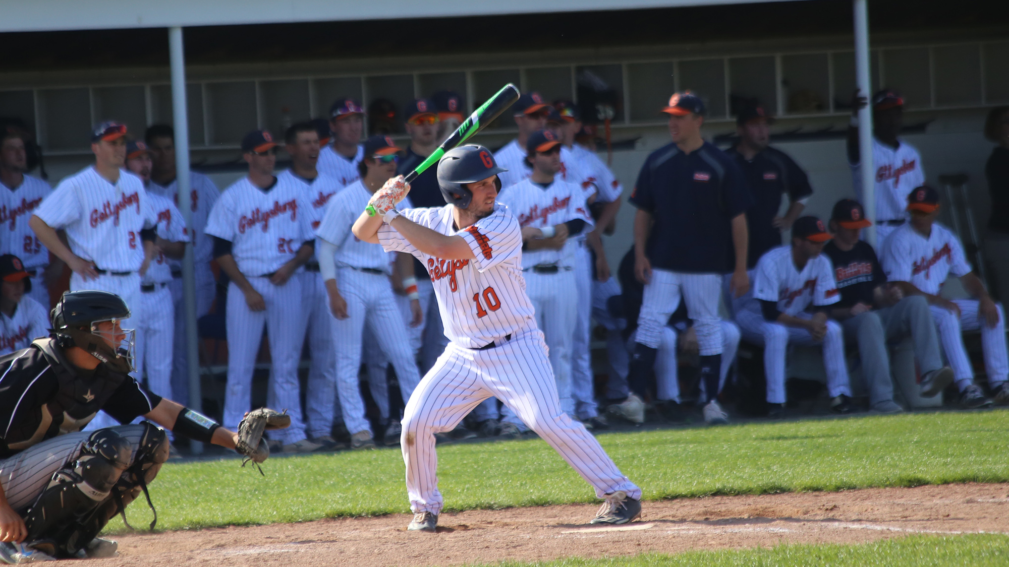 Dom Gasparro - Baseball - Gettysburg College Athletics