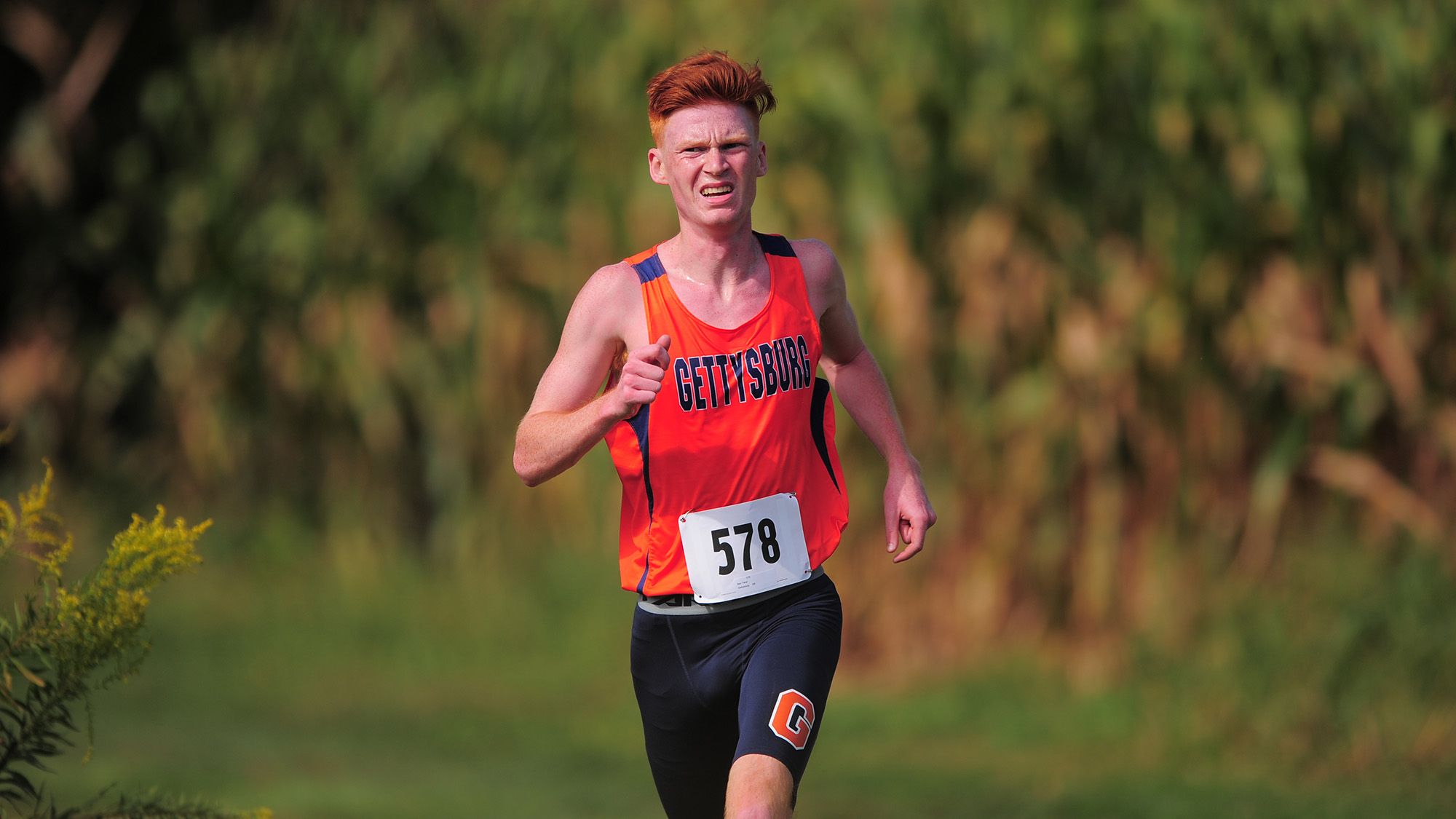 Ben Taber - Men's Cross Country - Gettysburg College Athletics