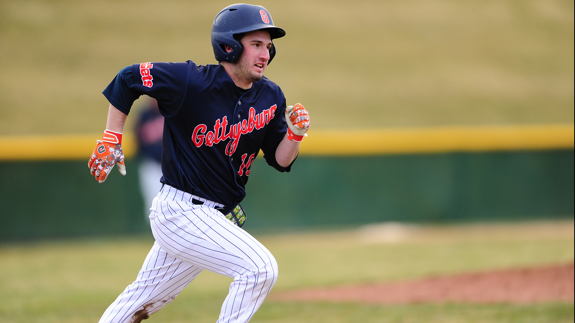 Dom Gasparro - Baseball - Gettysburg College Athletics