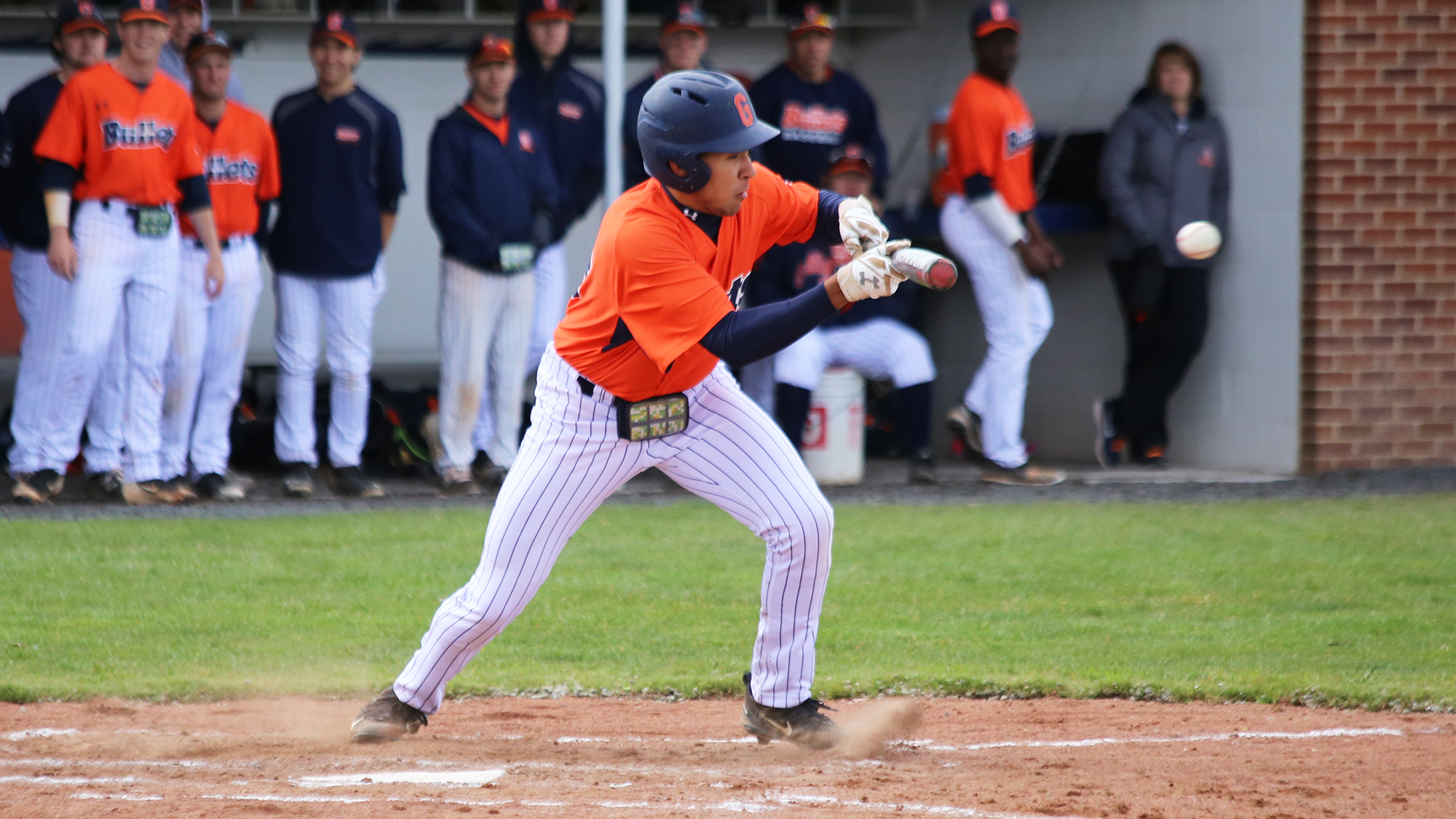 Logan Sneed - Baseball - Gettysburg College Athletics
