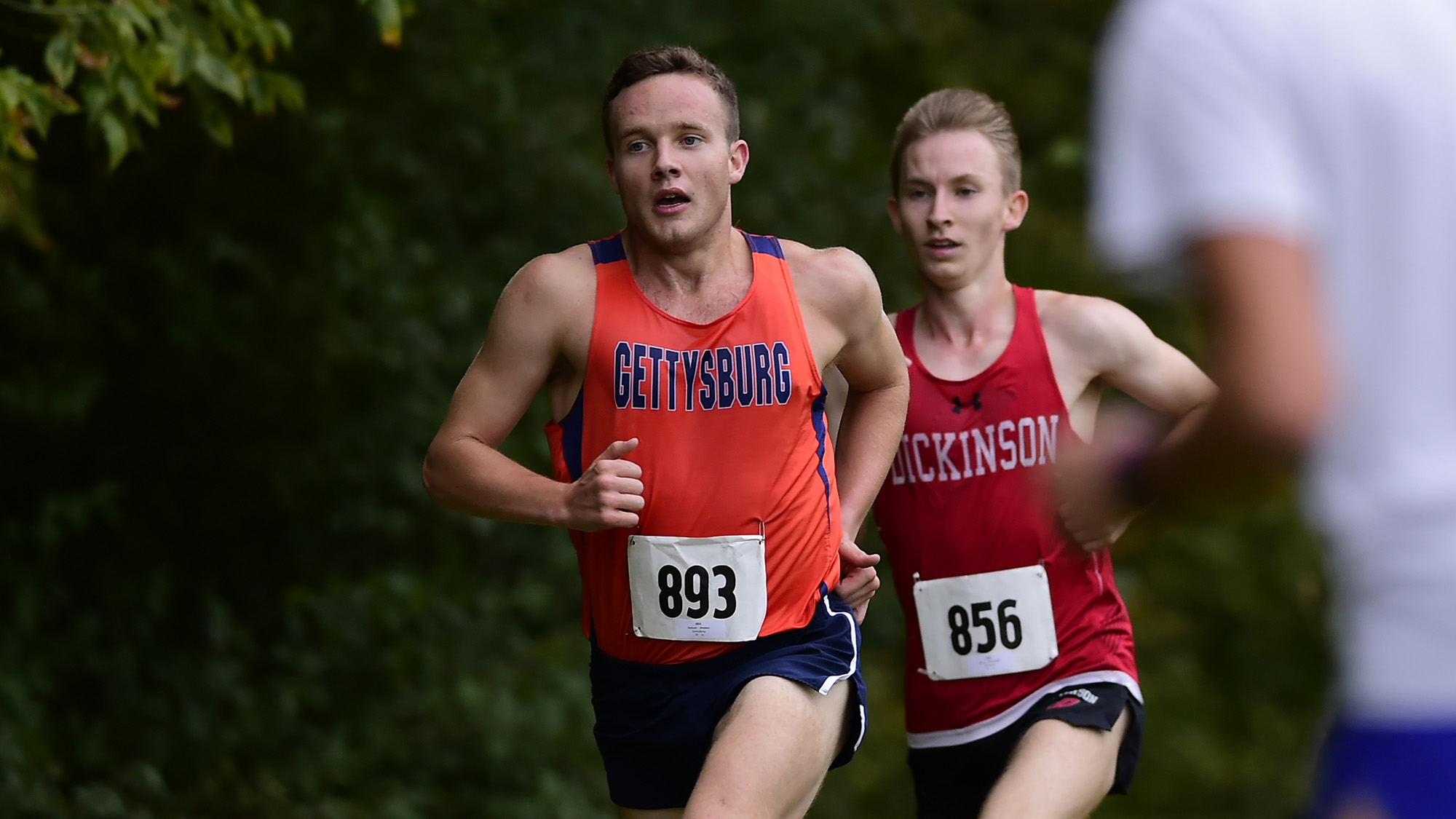 Sam Sheldon - Men's Cross Country - Gettysburg College Athletics