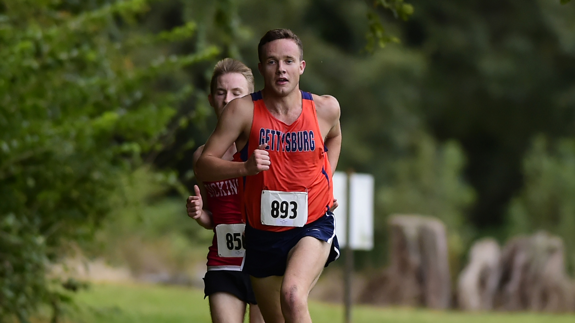 Sam Sheldon - Men's Cross Country - Gettysburg College Athletics