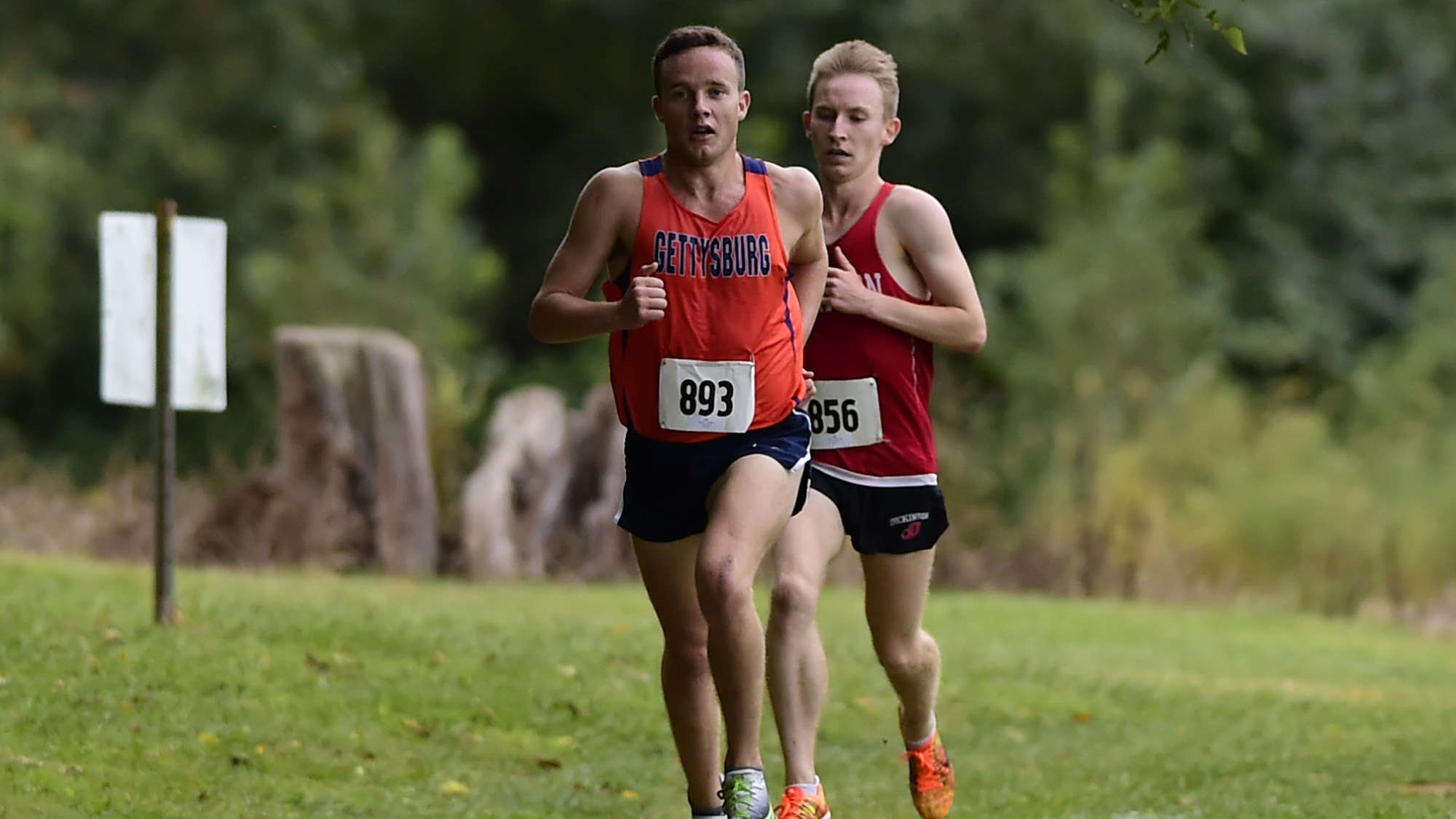 Sam Sheldon - Men's Cross Country - Gettysburg College Athletics