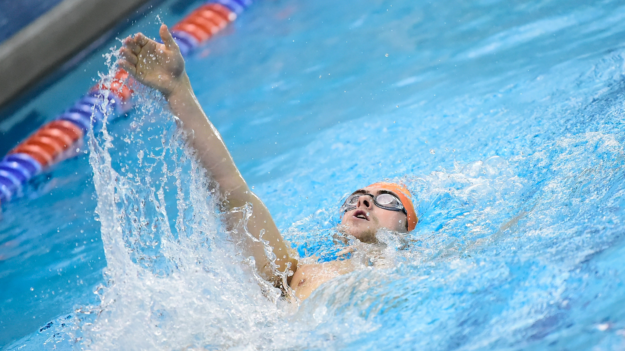 Danny Petrillo - Men's Swimming - Gettysburg College Athletics
