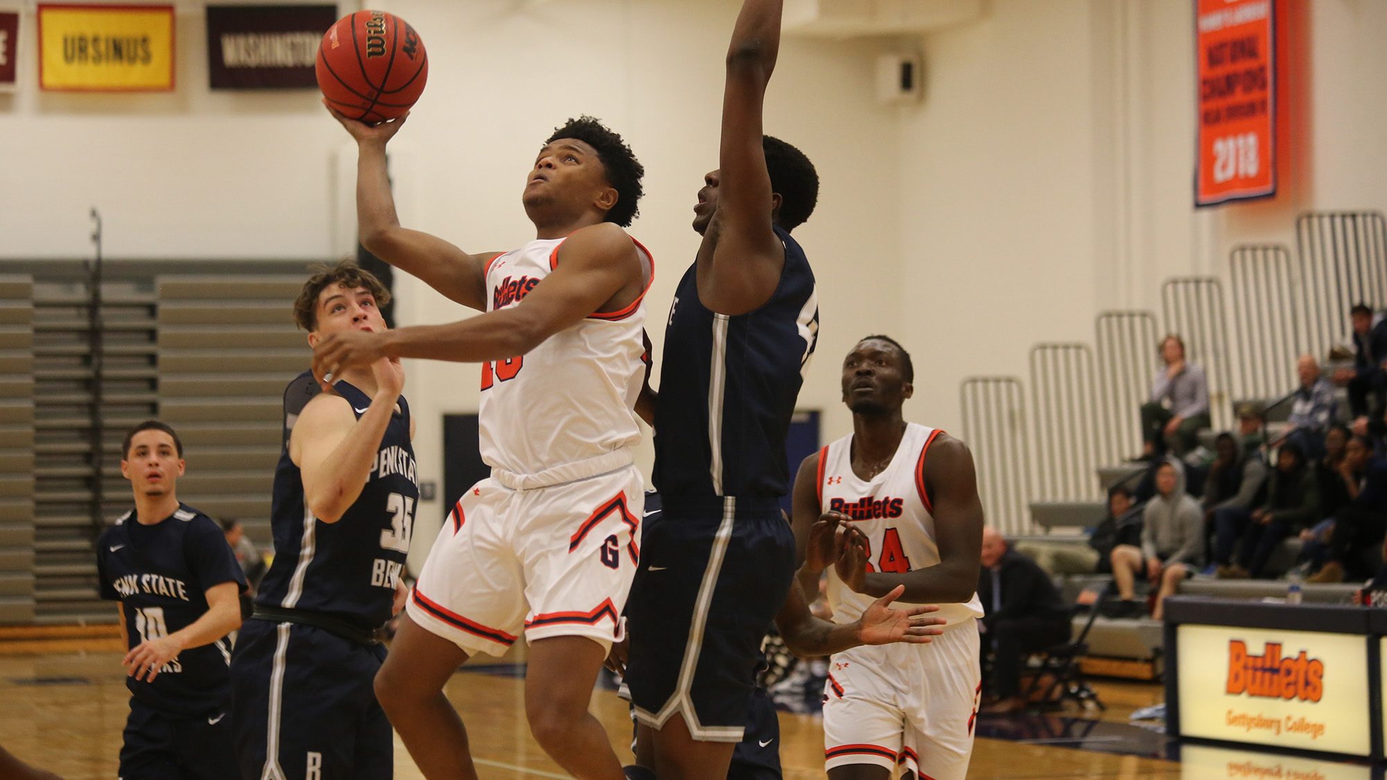 Shane Scott - Men's Basketball - Gettysburg College Athletics