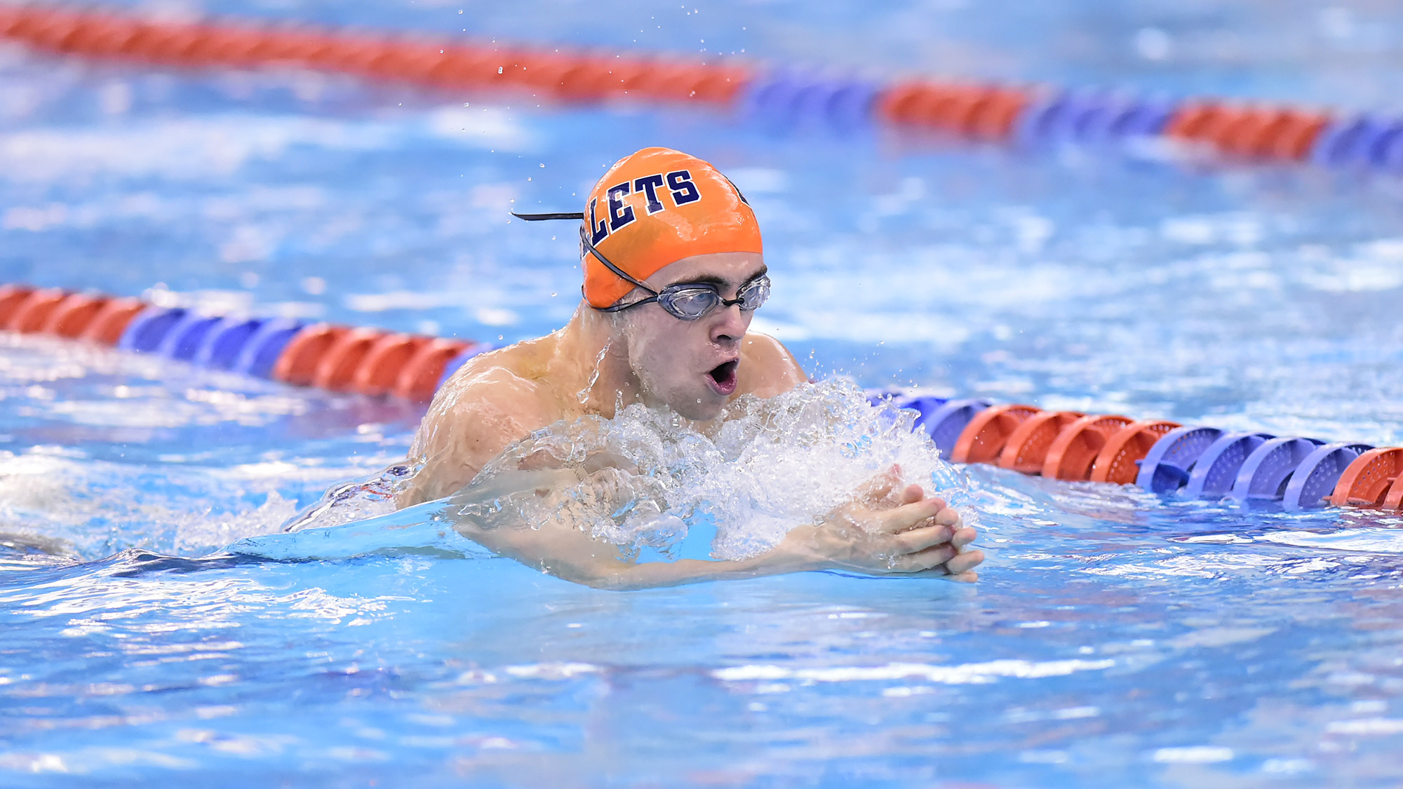 Danny Petrillo - Men's Swimming - Gettysburg College Athletics