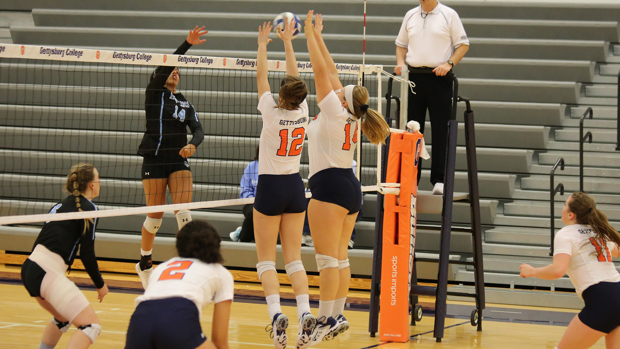 Shannon Fletcher - Volleyball - Gettysburg College Athletics