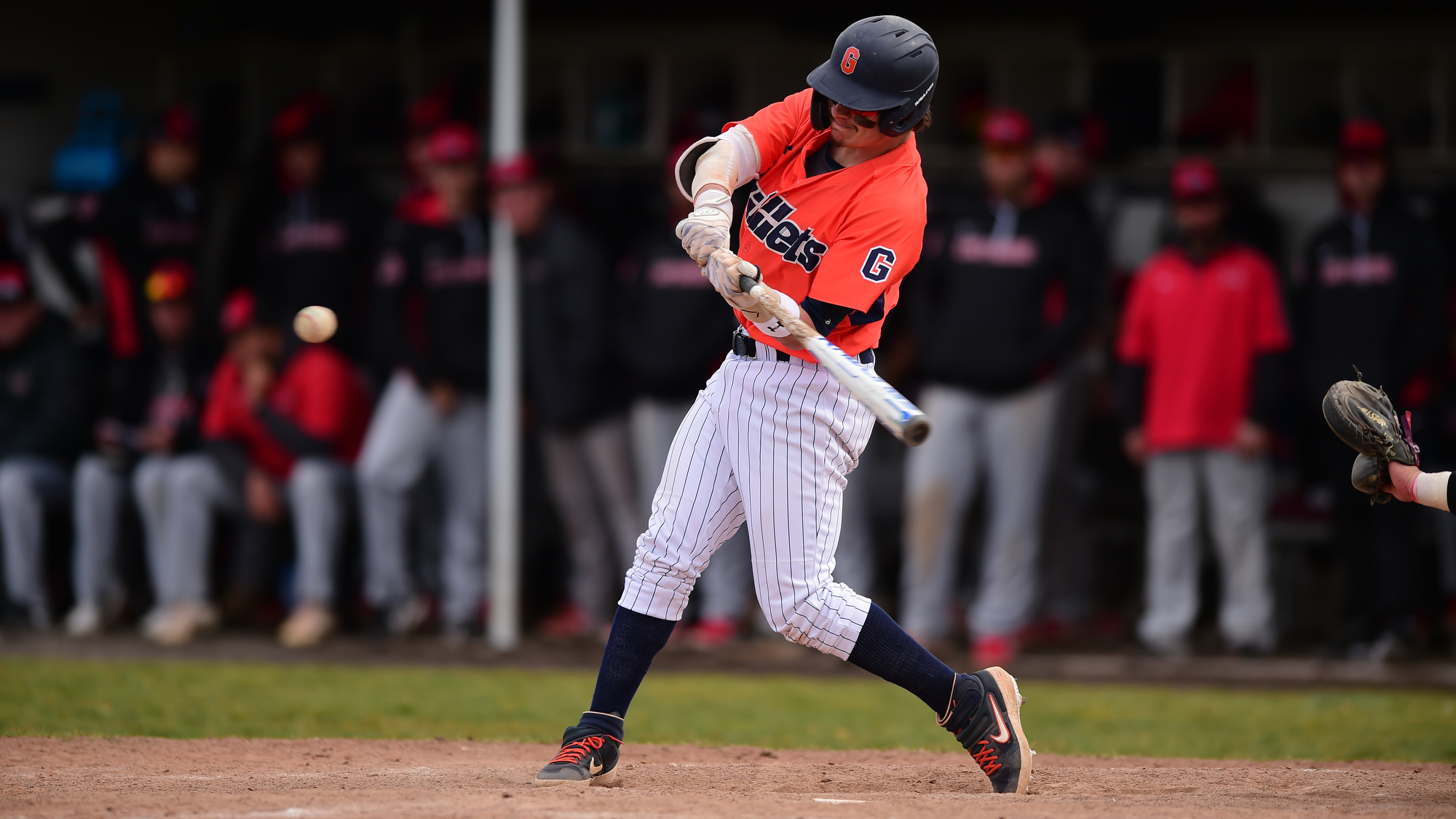 Joe Giovinco - Baseball - Gettysburg College Athletics