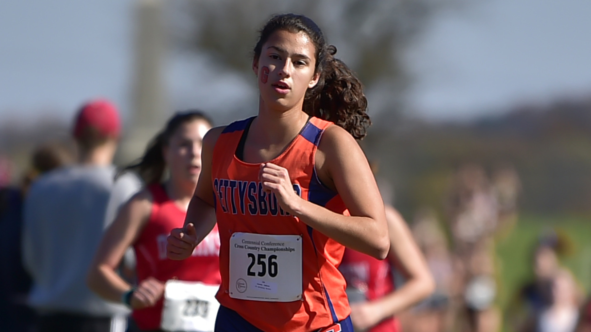 Amanda Addesso - Women's Cross Country - Gettysburg College Athletics