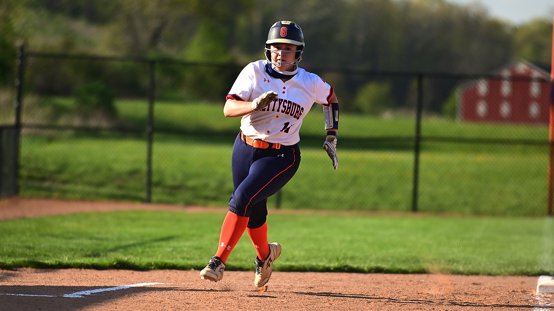 Emily Colline - Softball - Gettysburg College Athletics