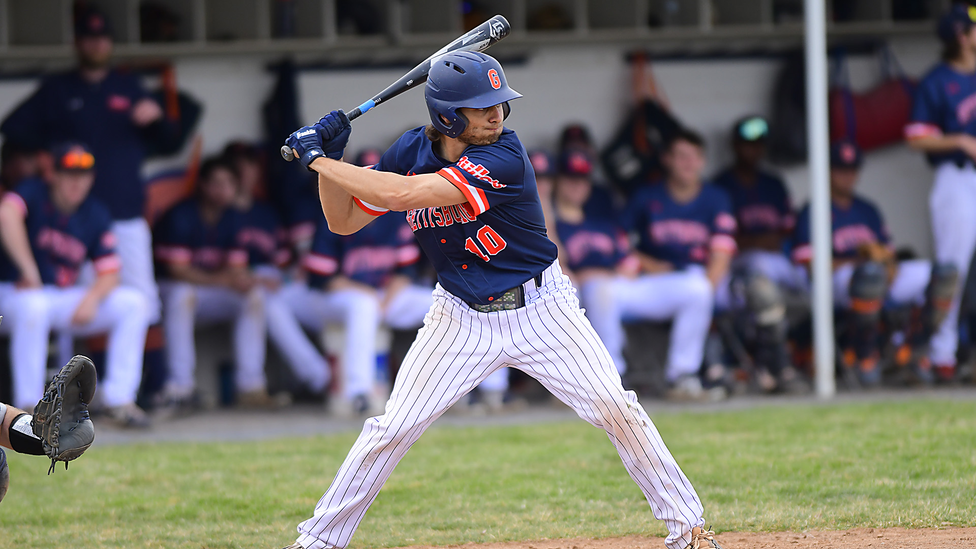 David Preziuso - Baseball - Gettysburg College Athletics