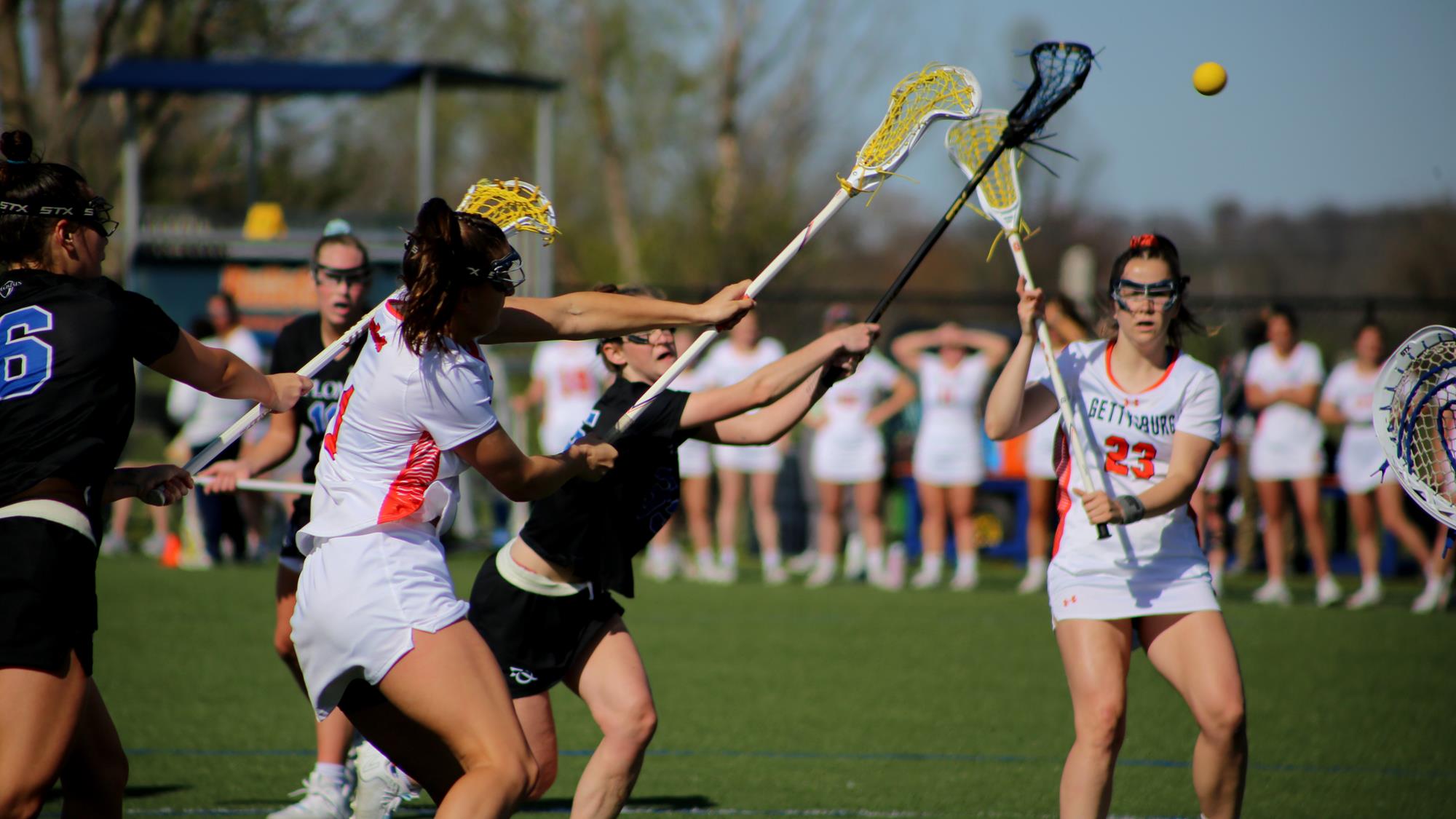Jordan Basso - Women's Lacrosse - Gettysburg College Athletics