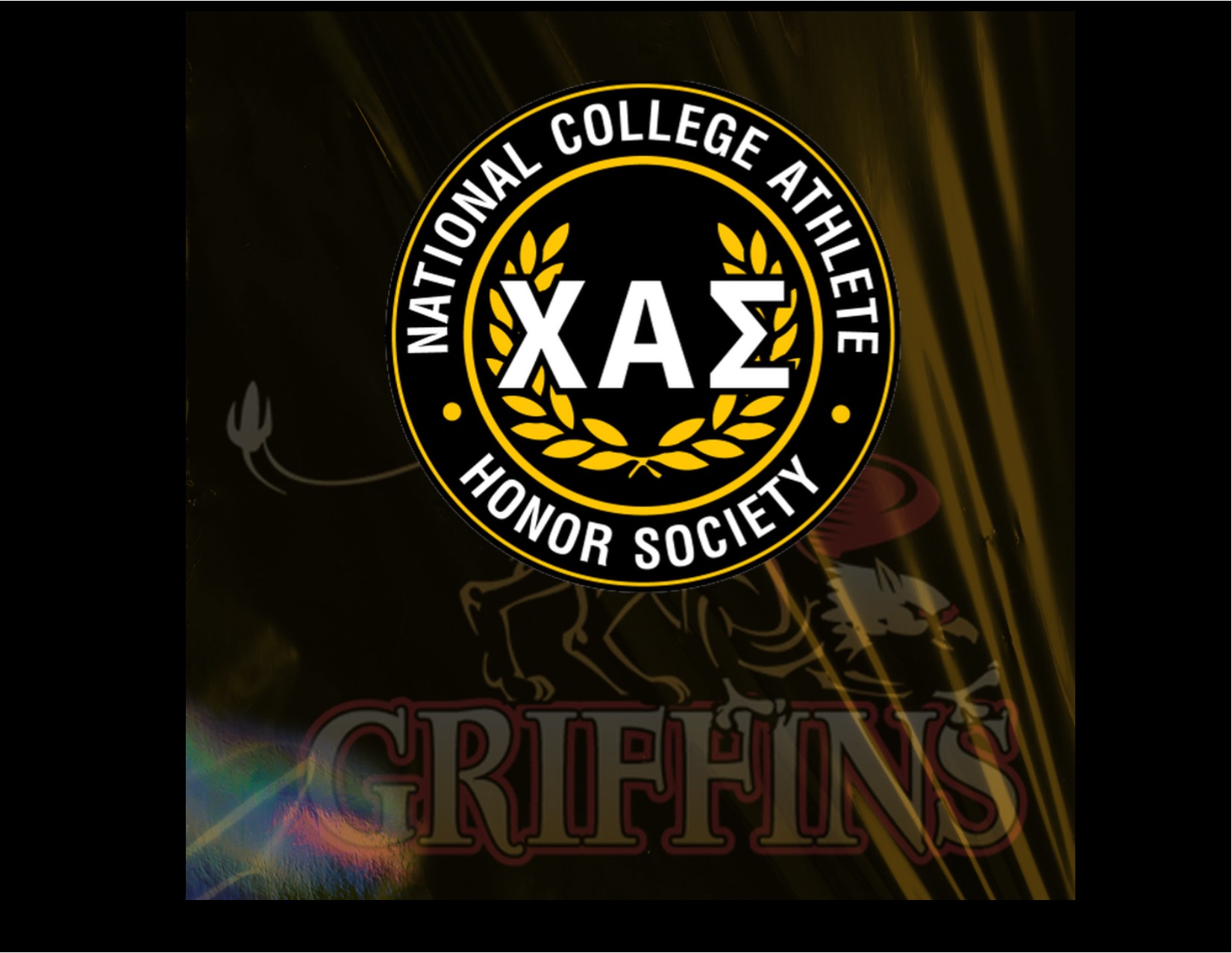 Gwynedd Mercy University Inducts 28 Griffins To National College ...