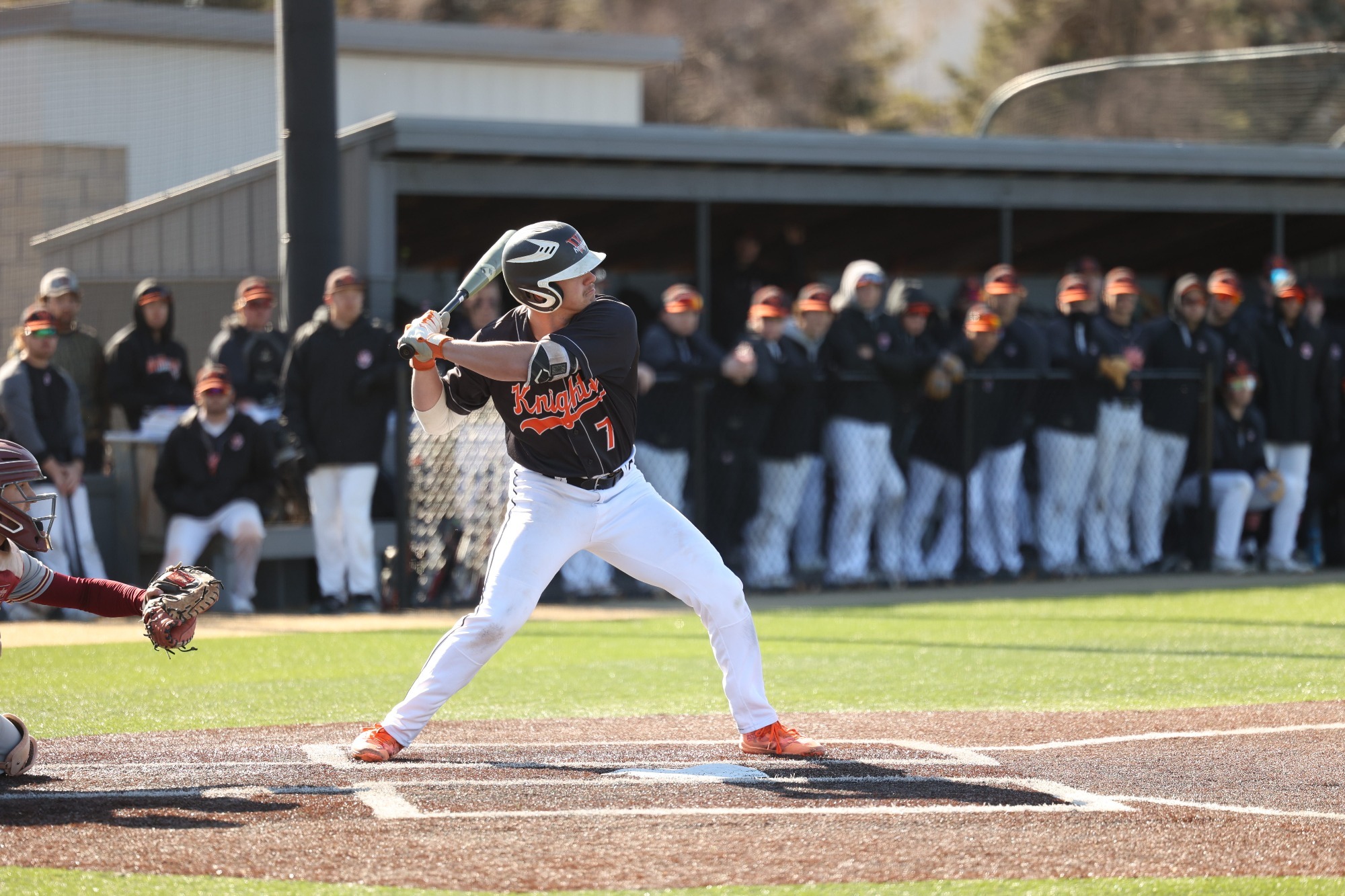 Sam Nicolino - Baseball - Wartburg College Athletics