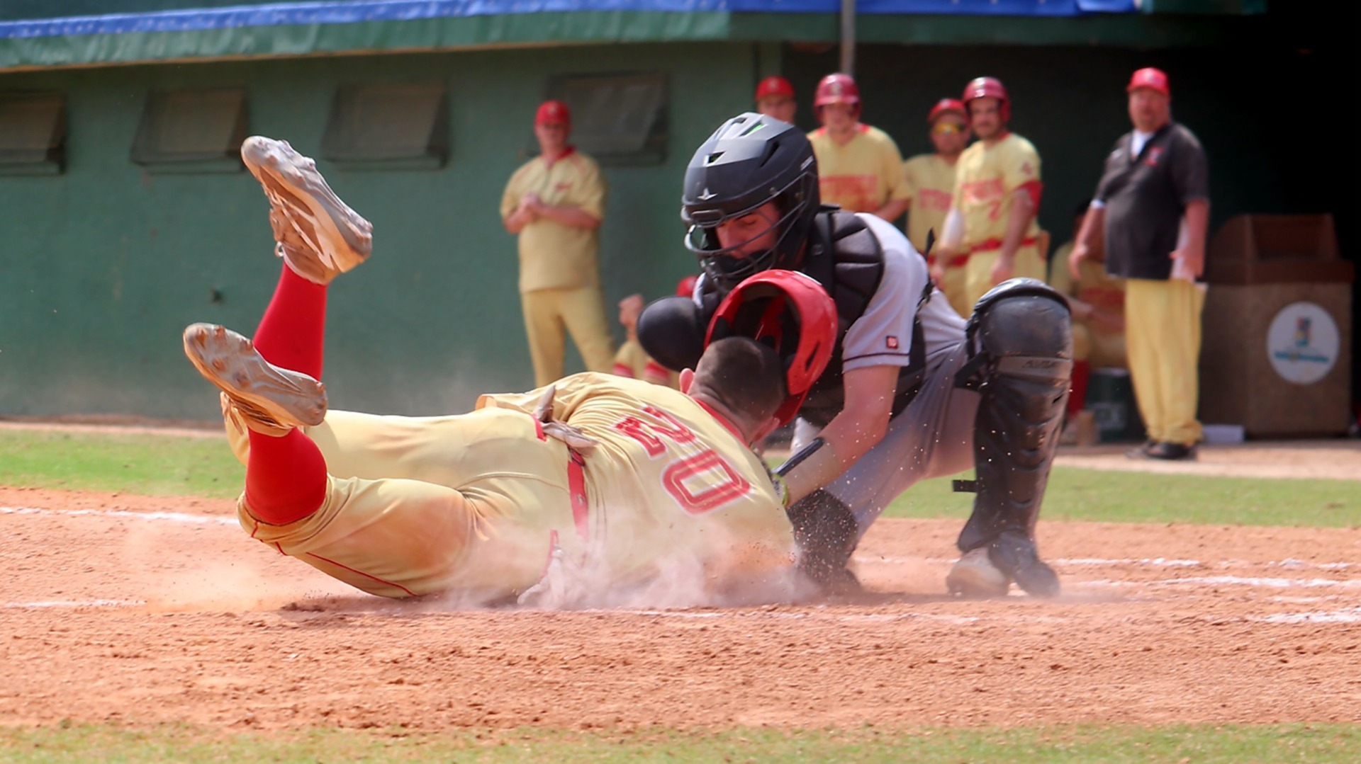 Cardinals Complete Sweep of Anchormen - Rhode Island College