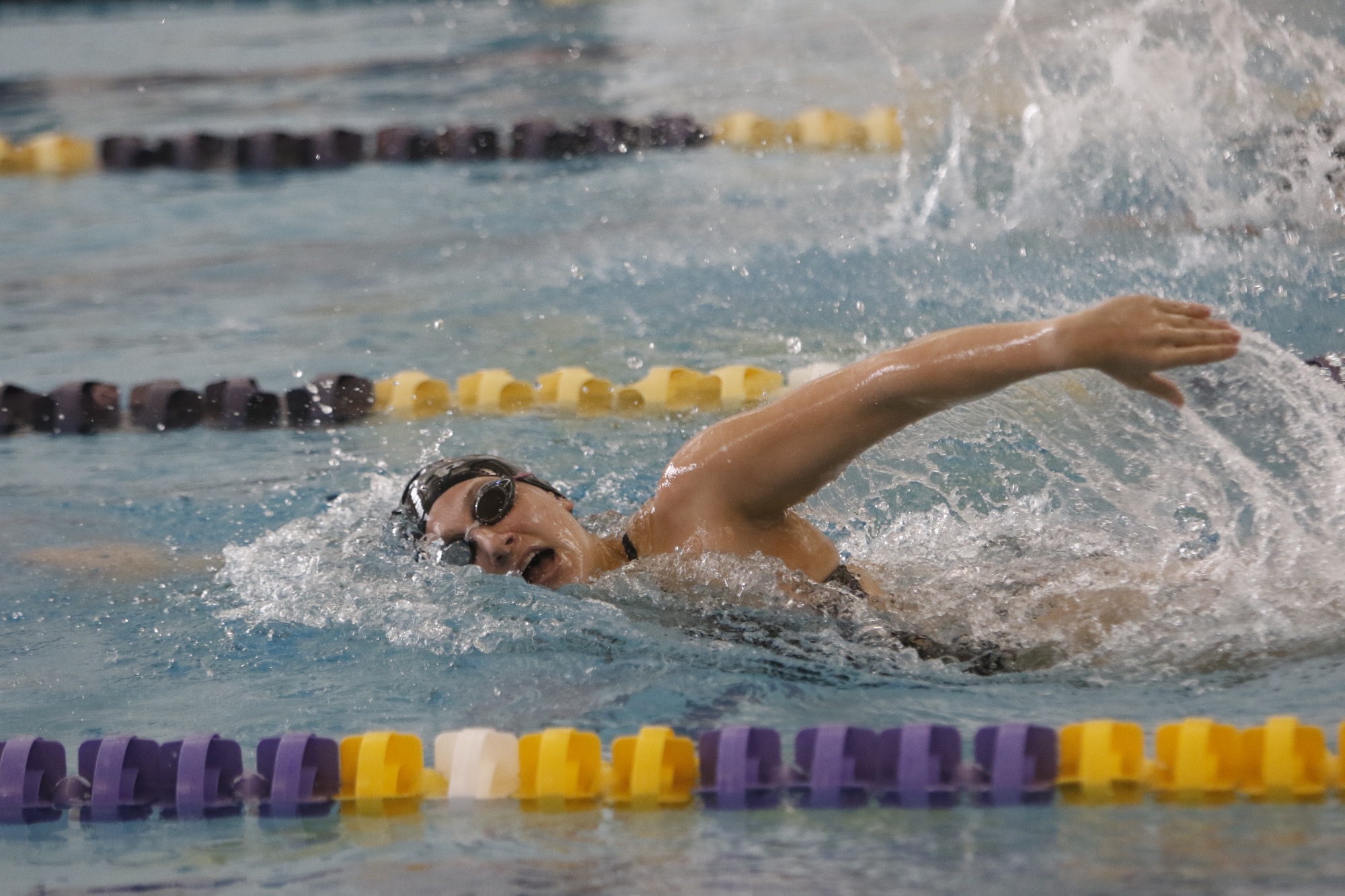 Sydney Porinchok - 2023-24 - Swimming and Diving - Ashland University