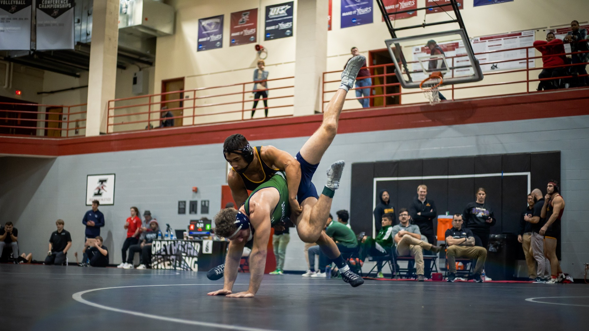 Daniel Beemer - 2023-24 - Wrestling - Ashland University