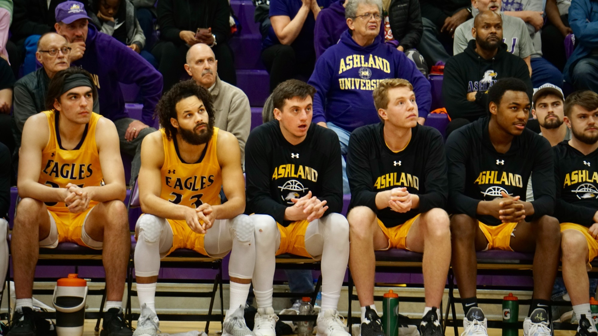 Eagle Men Lose To Pioneers In Regular-Season Home Finale - Ashland University