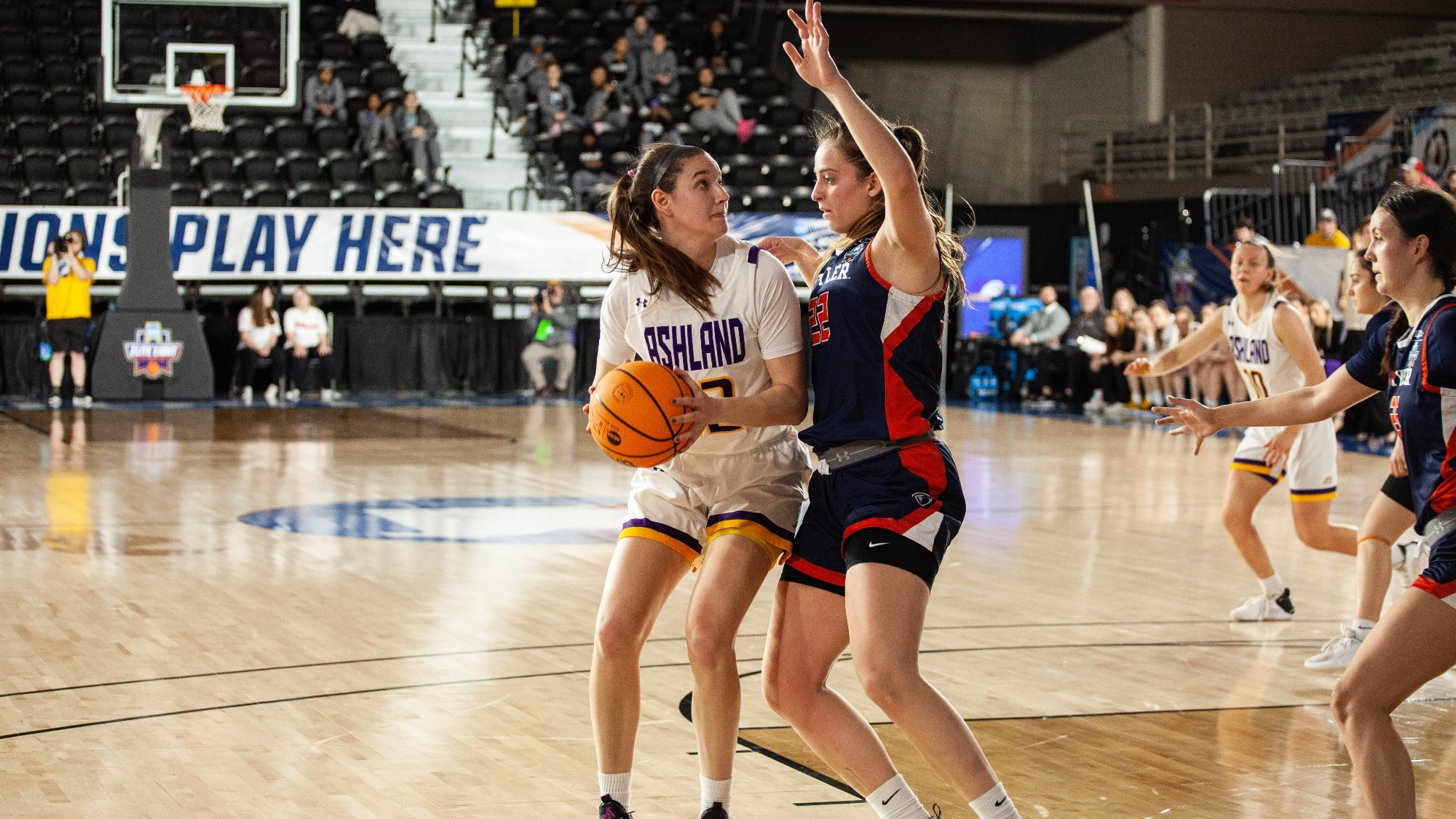 Annie Roshak - 2023-24 - Women's Basketball - Ashland University