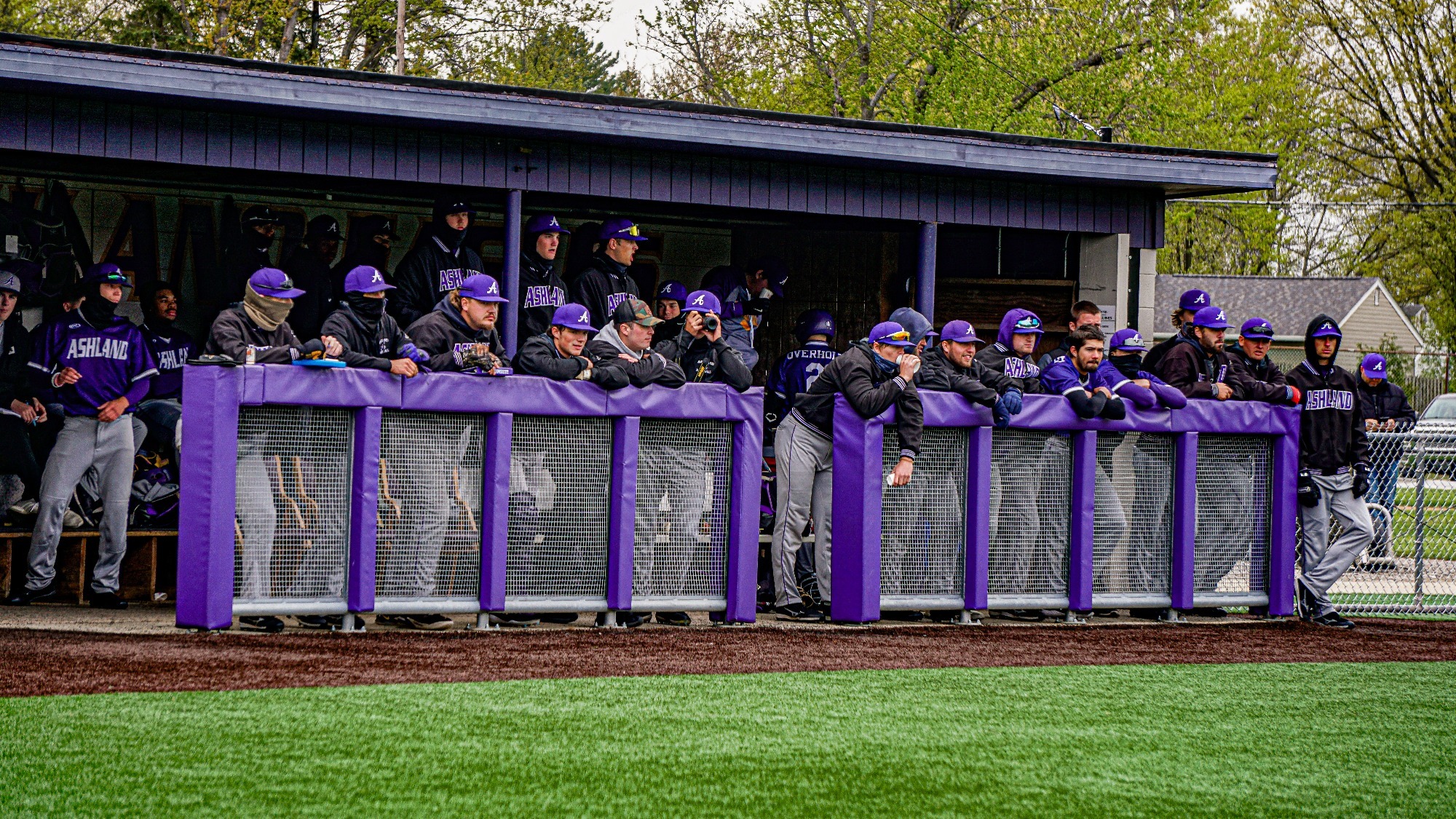 Eagles Lose Twice To Timberwolves To Begin Home Set - Ashland University