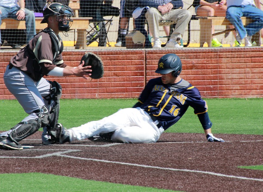Zach Reeg - Baseball - Augustana University Athletics
