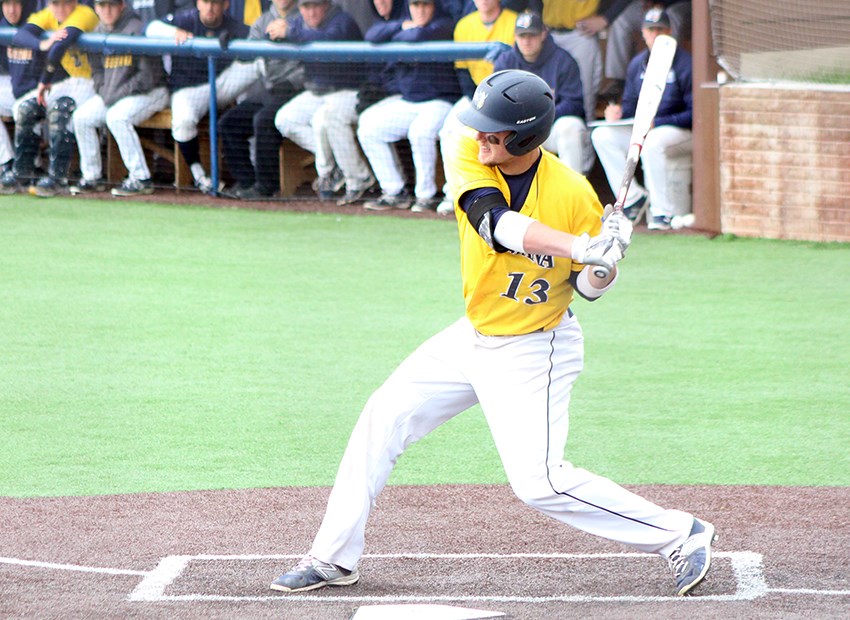 Alex Fink - Baseball - Augustana University Athletics