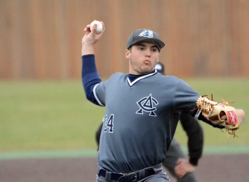 Ryne Lees - Baseball - Augustana University Athletics
