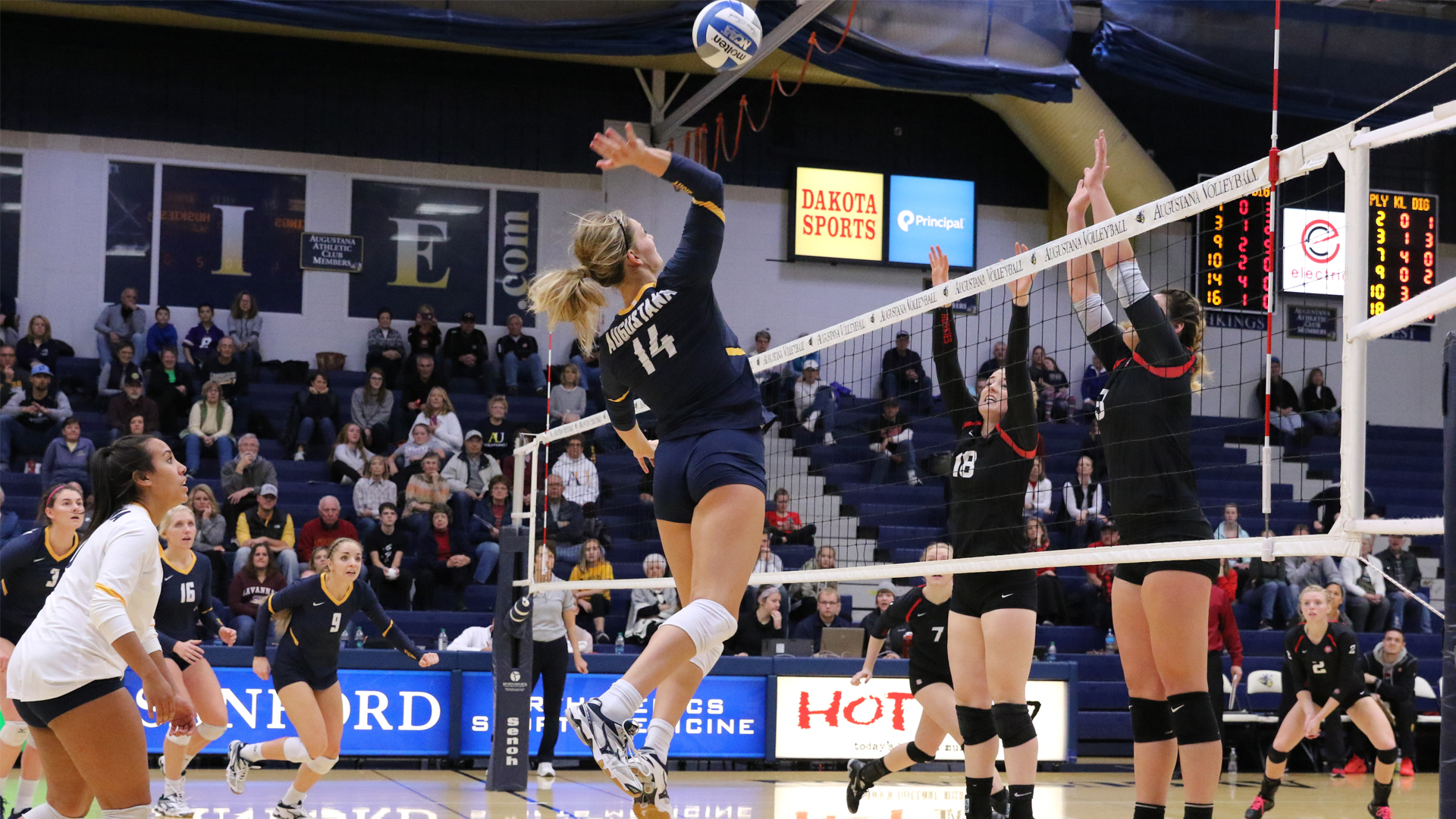 Bailey Koch - Volleyball - Augustana University Athletics