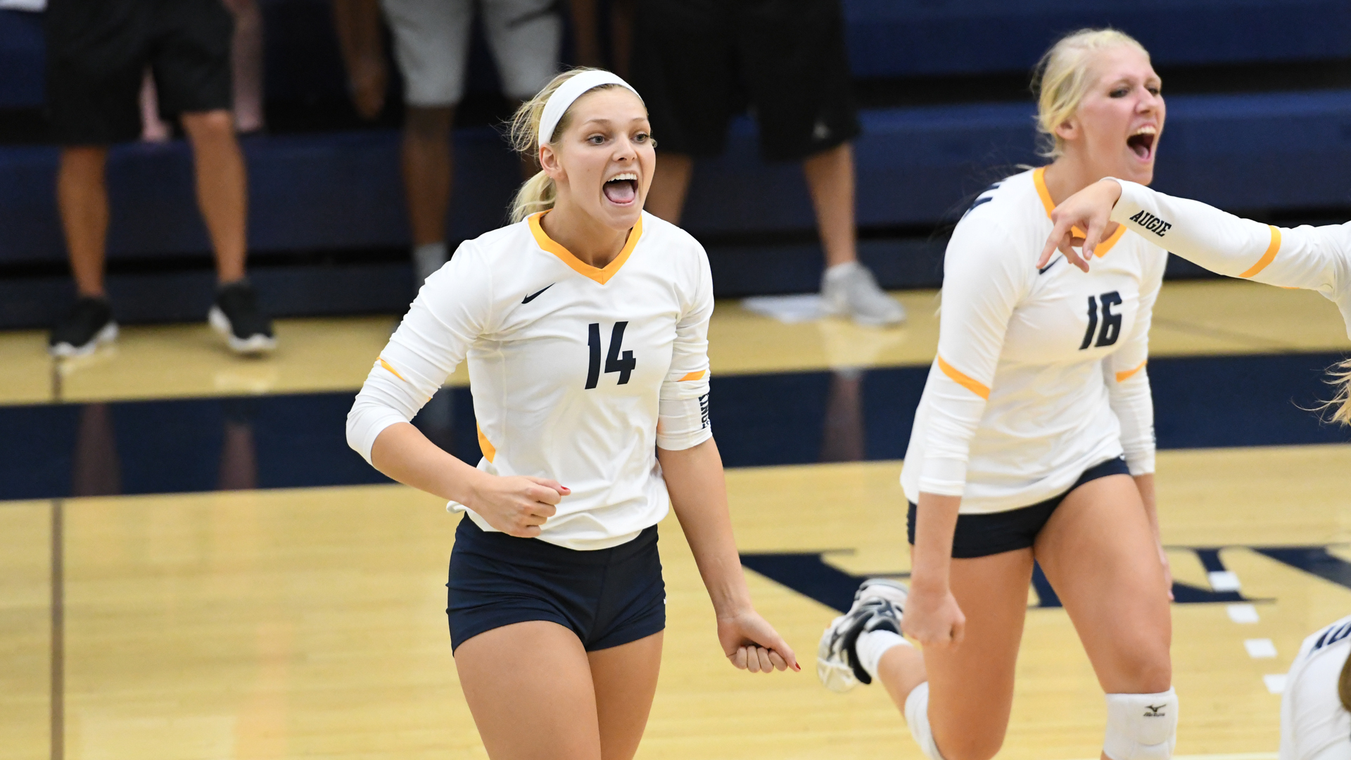 Bailey Koch - Volleyball - Augustana University Athletics