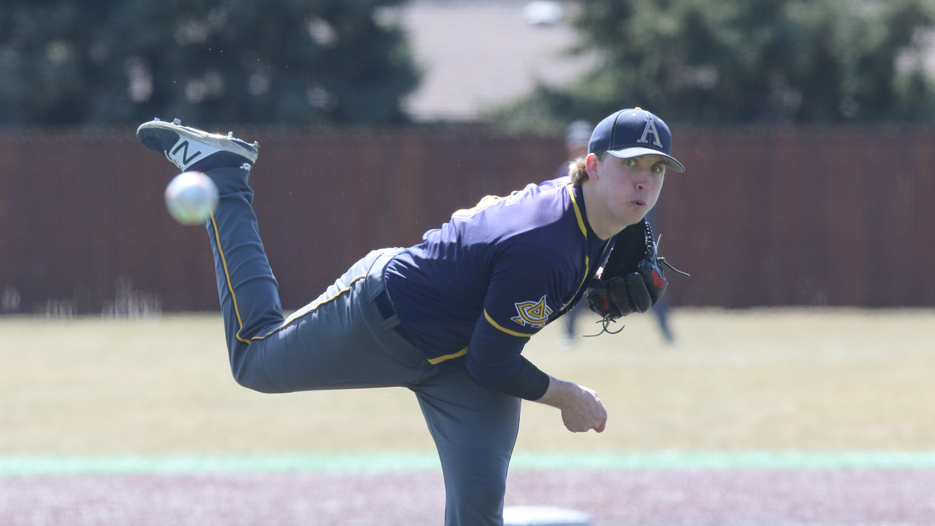 Tyler Mitzel - Baseball - Augustana University Athletics
