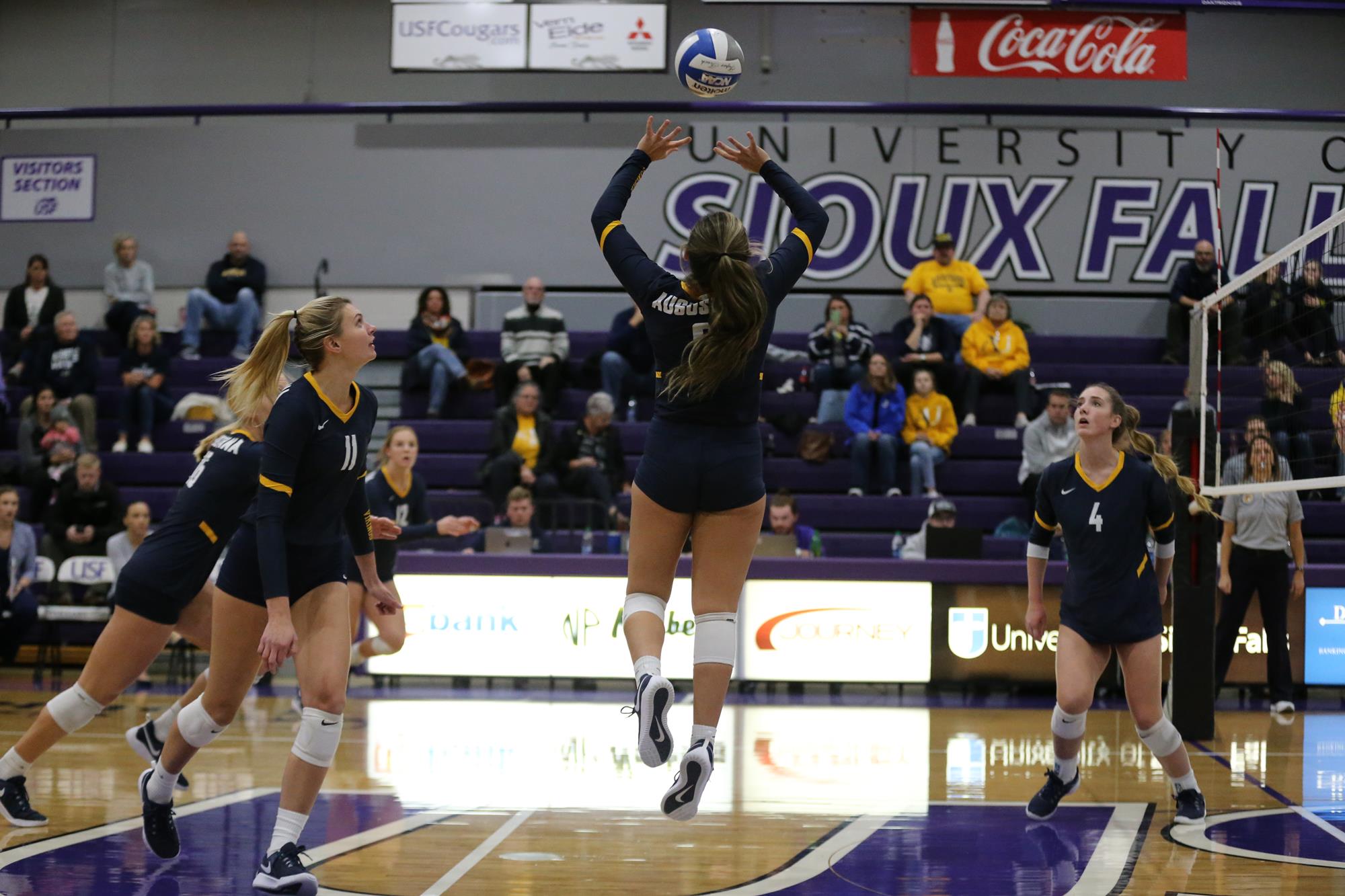 Abby Benson - Volleyball - Augustana University Athletics