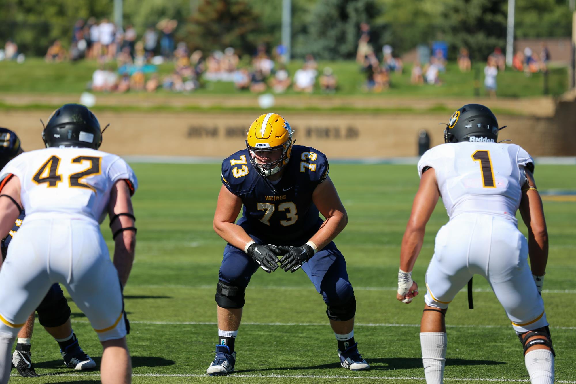 Blake Larson - Football - Augustana University Athletics